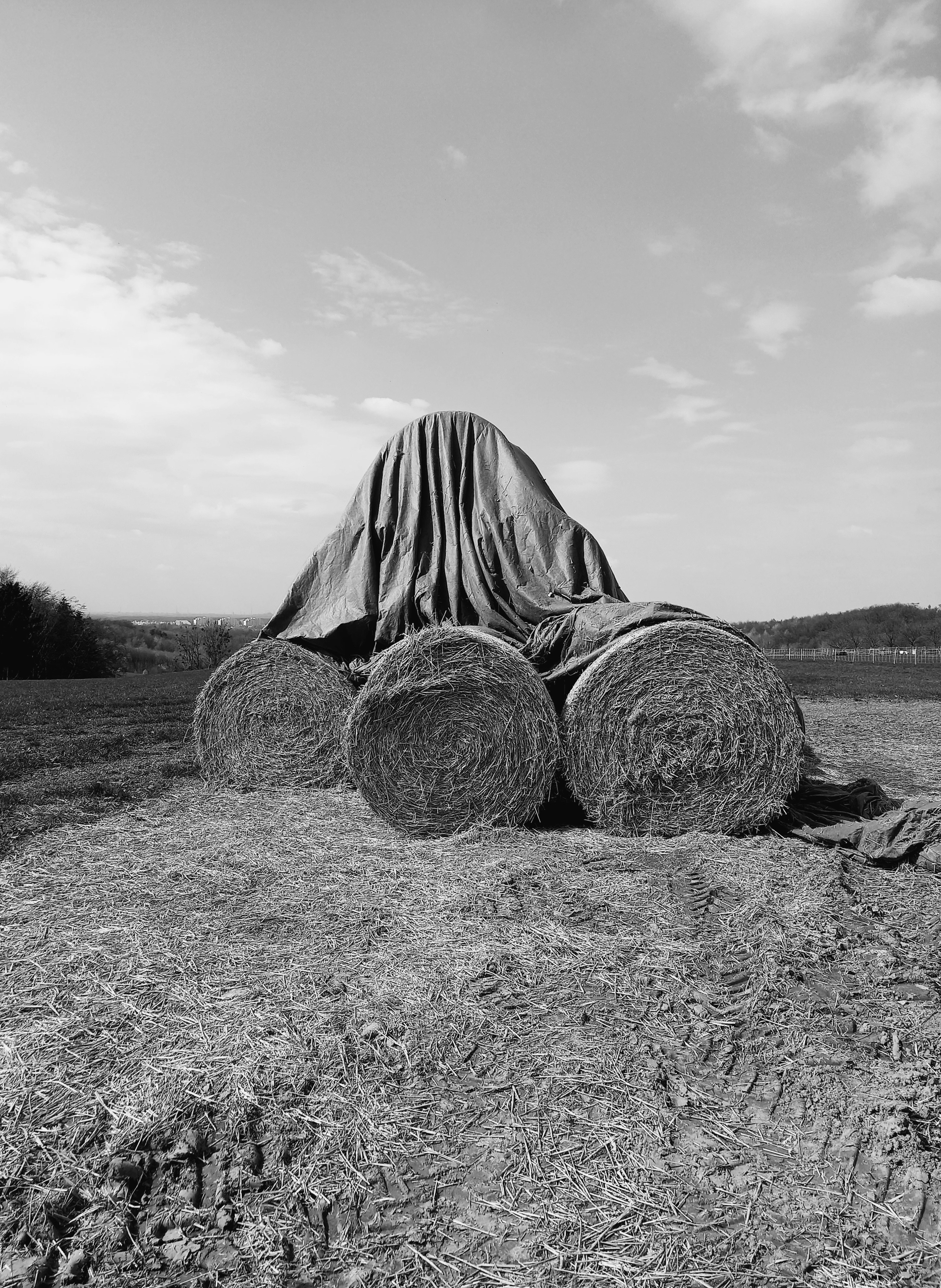 Veiled Haystacks under a Quiet Sky