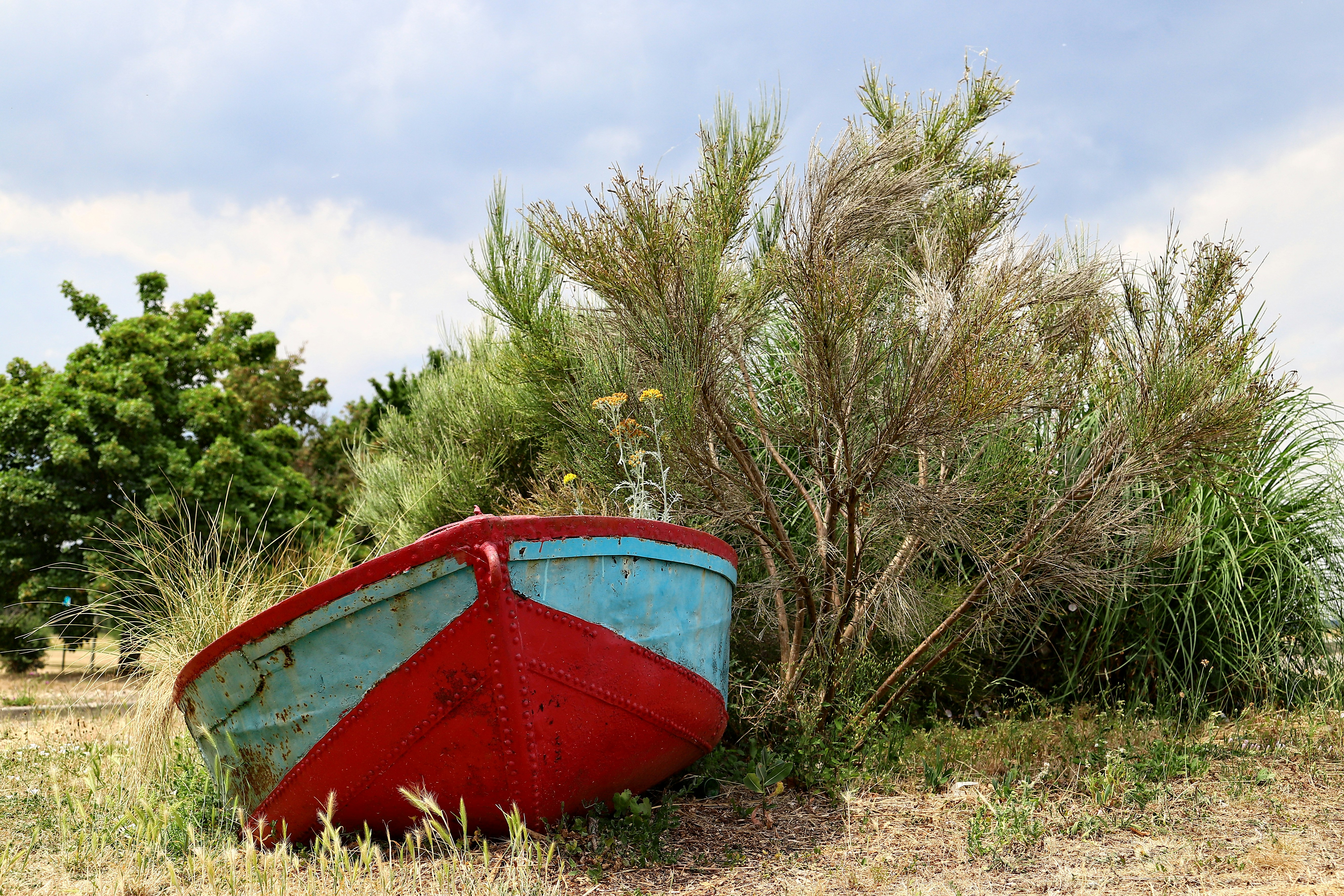 A weathered boat rests among overgrown vegetation, showcasing a blend of vibrant colors and natural decay. The scene evokes a sense of nostalgia and tranquility.