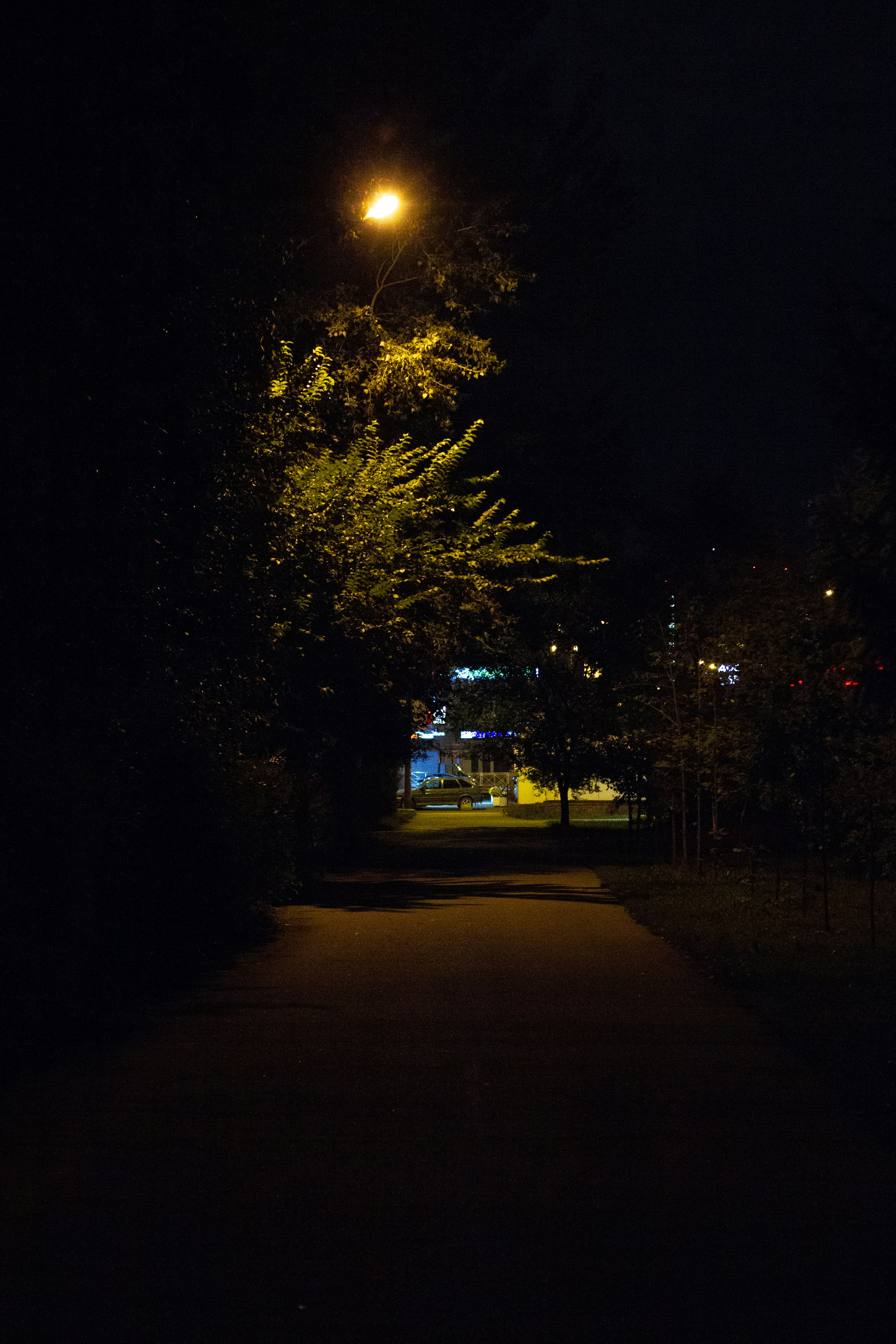 Dimly lit pathway flanked by trees under a streetlamp, leading toward a softly illuminated area in the distance.