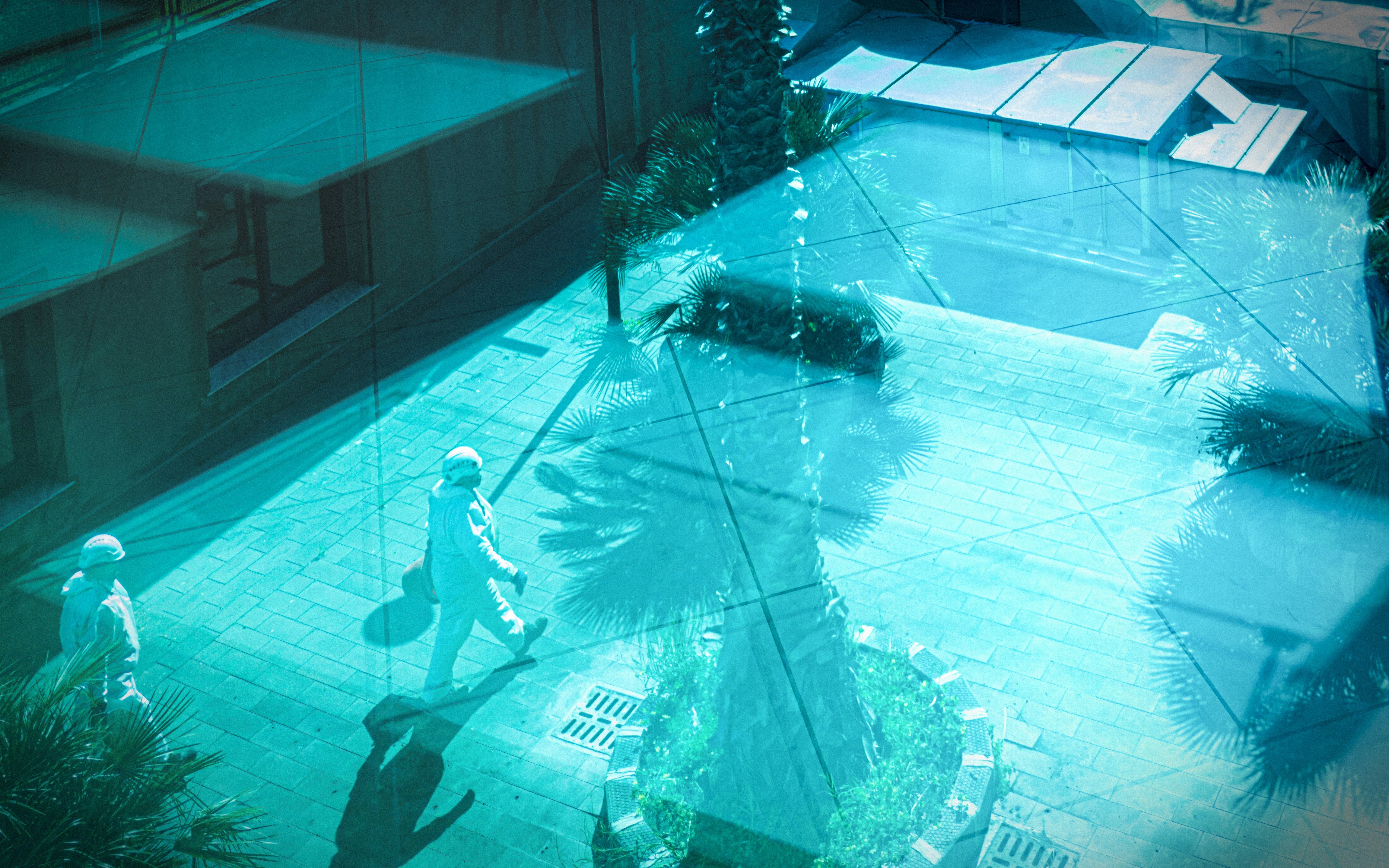 Two individuals walking through a modern courtyard surrounded by palm trees, captured through a reflective surface.