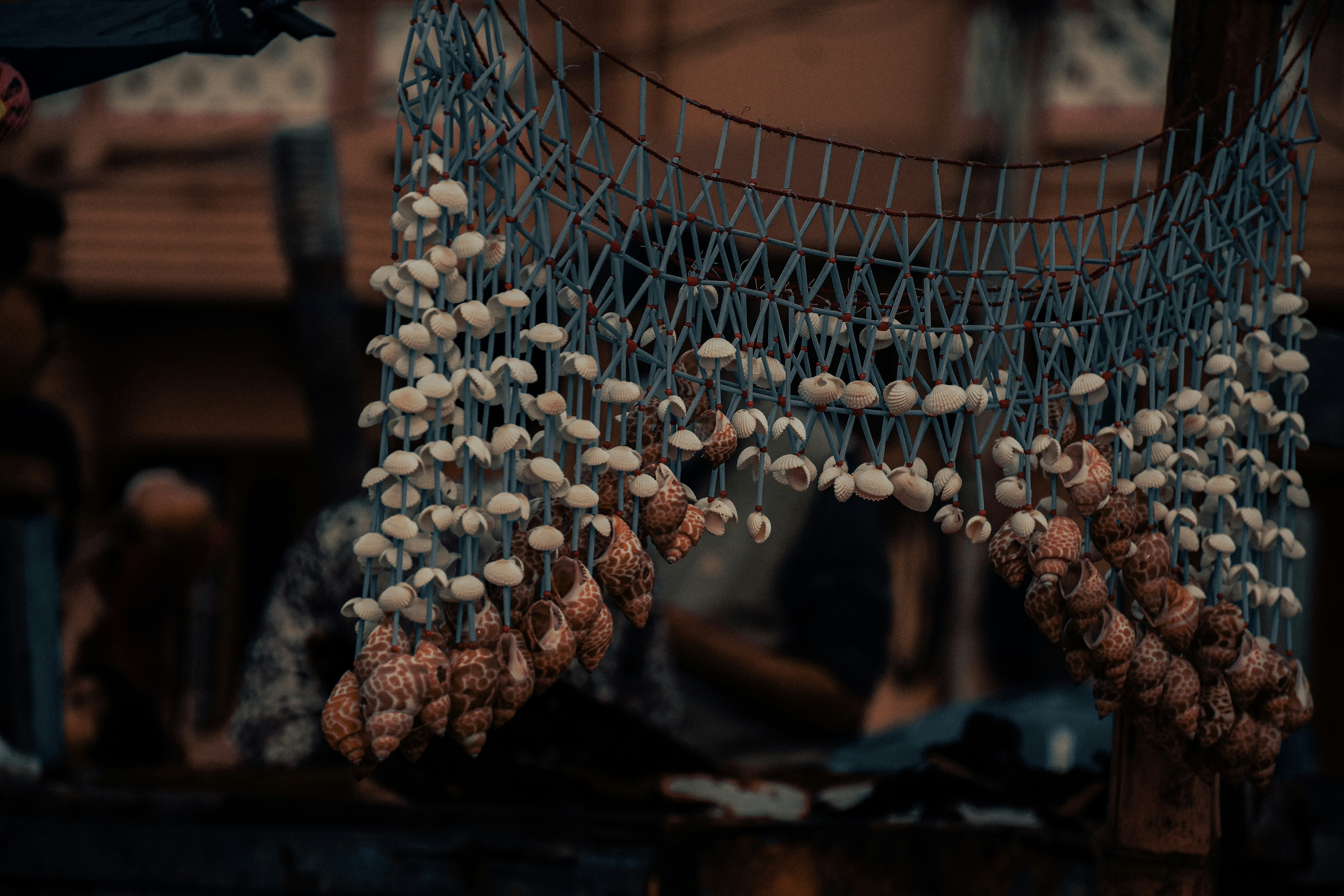 A bunch of mushrooms hanging from a wire structure photo – Free Grey ...