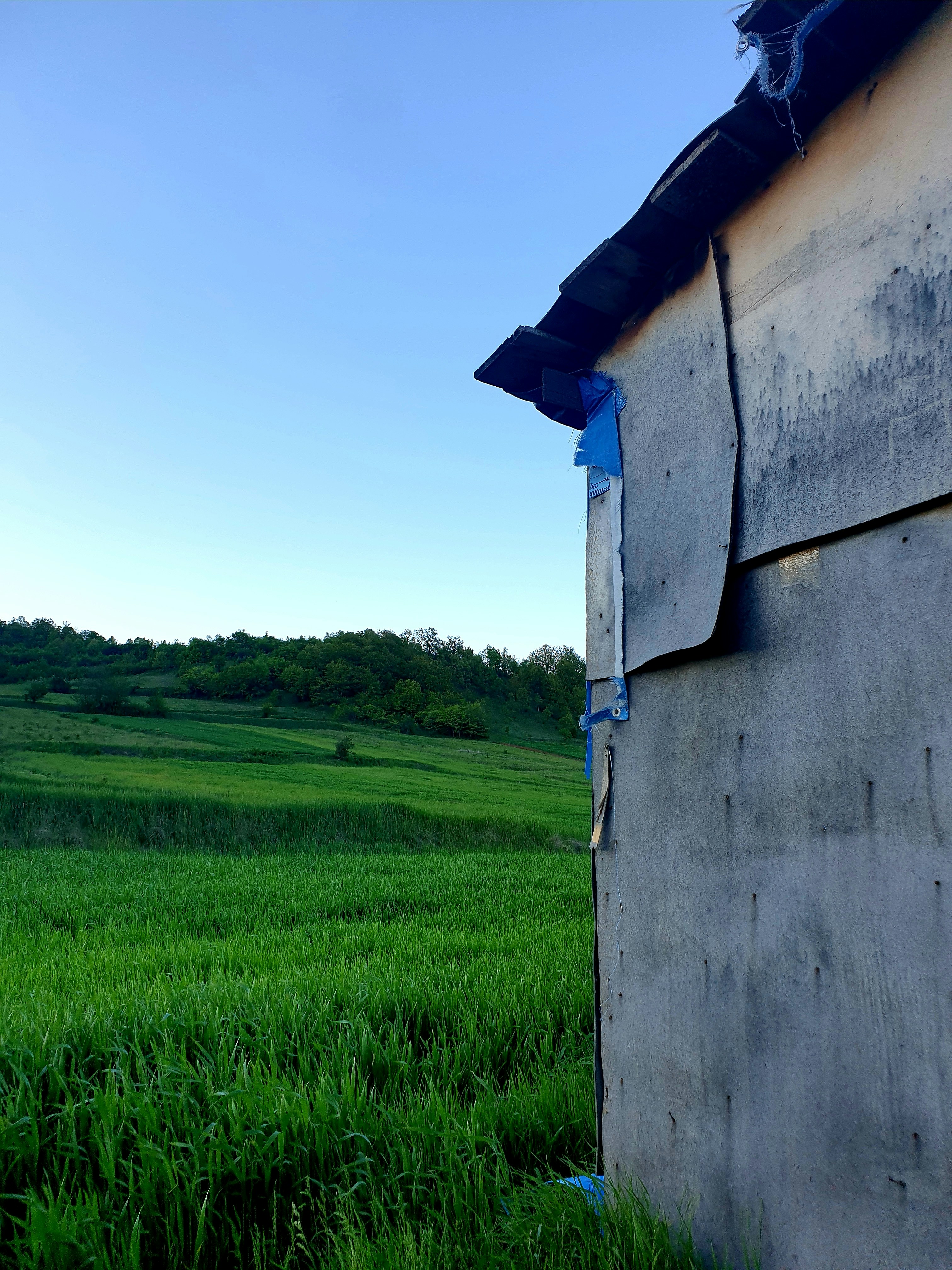 Weathered shed at the edge of a green valley