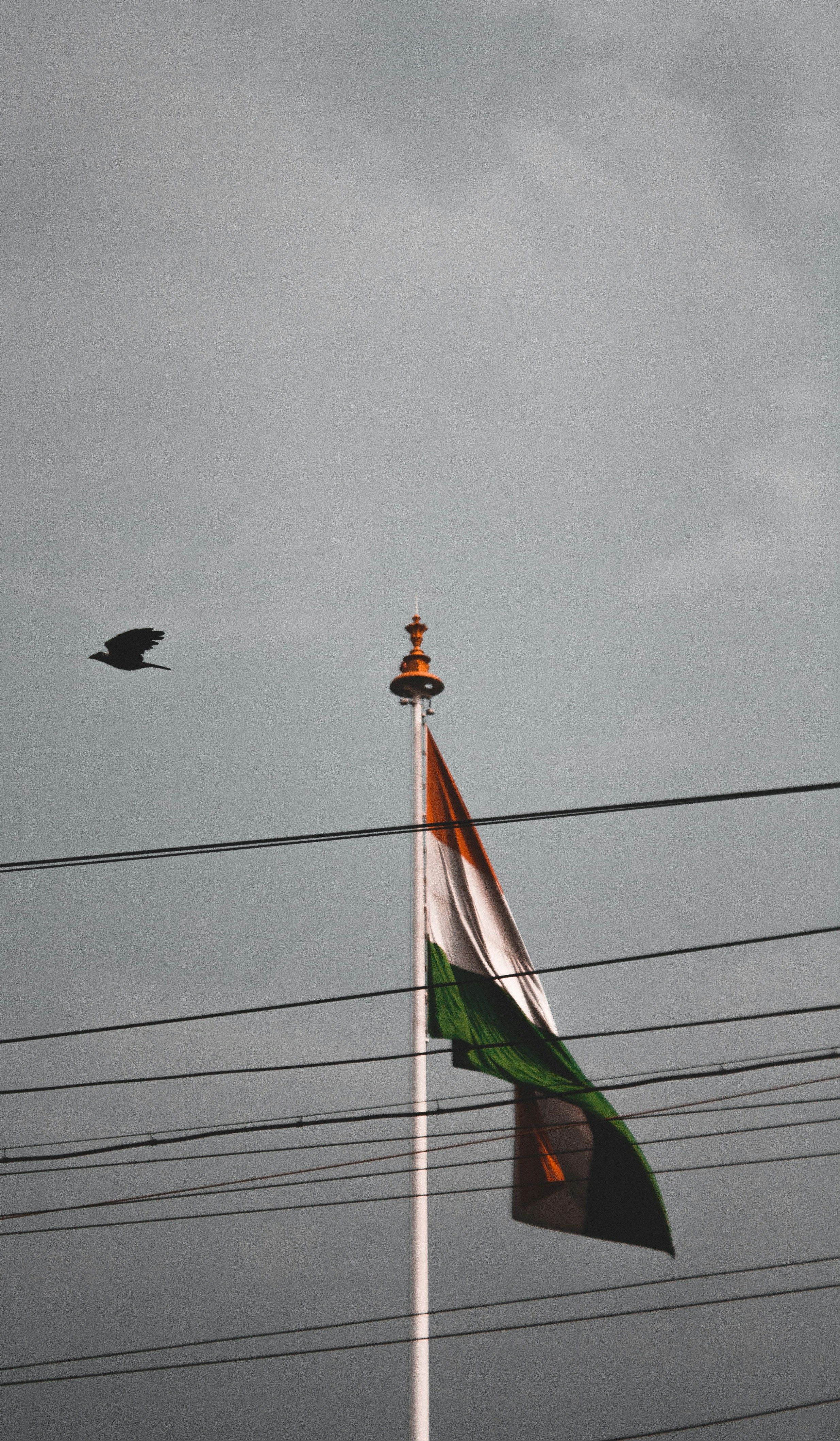 Flagpole and Flight: A Lone Bird Against a Skyward Mast