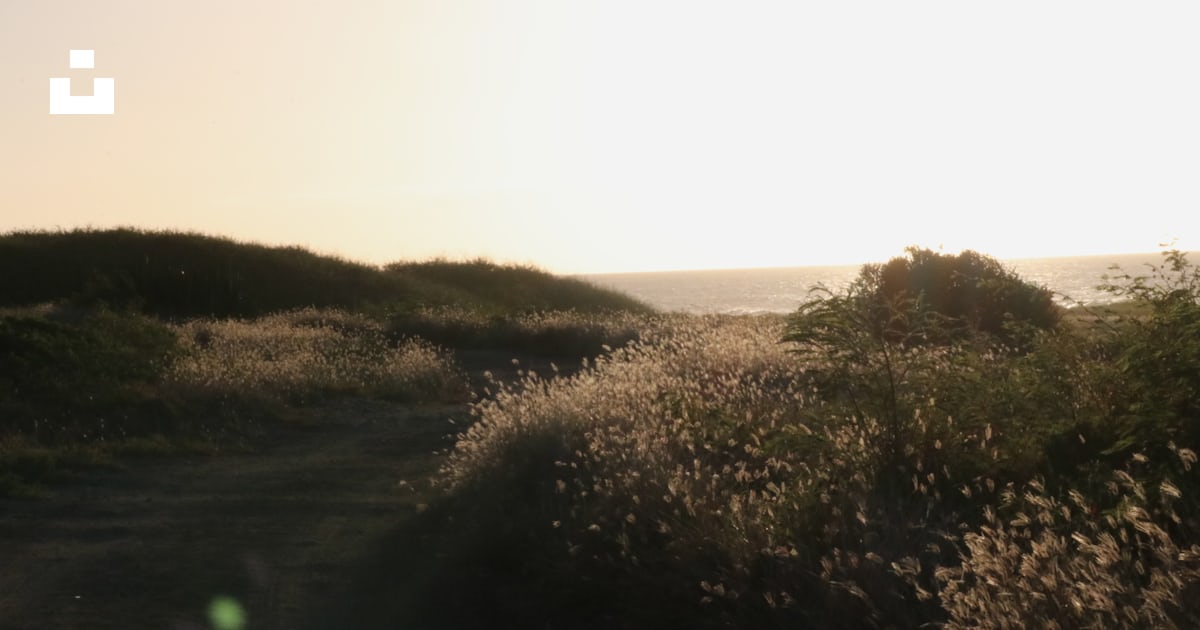 Foto El sol brilla en un camino que conduce al océano – Imagen ... Foto El sol brilla en un camino que conduce al océano – Imagen ...
