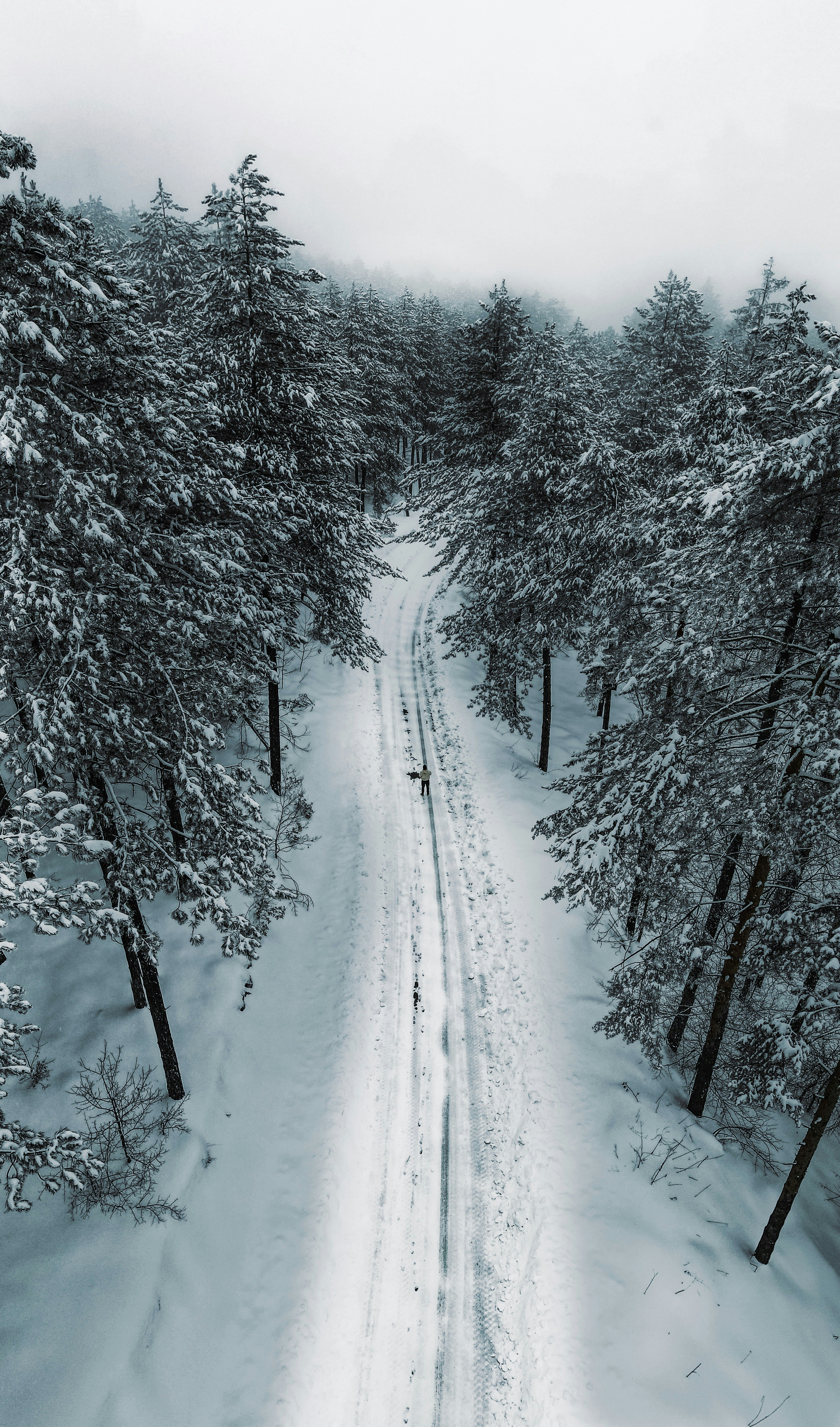 A snow covered road in the middle of a forest photo – Free Forest Image ...