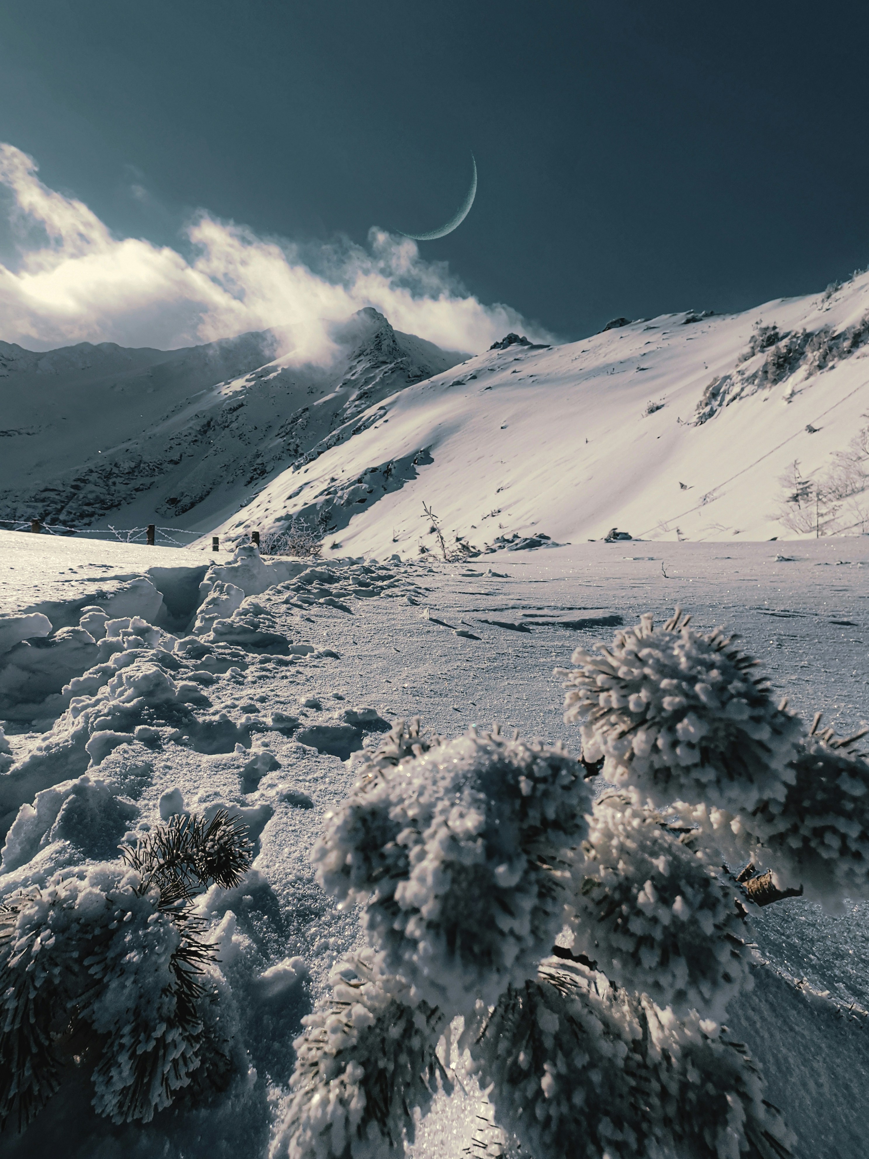 Snow-dusted alpine foreground with frost-coated shrubs leads the eye toward the snowbound slopes beneath a crescent moon.