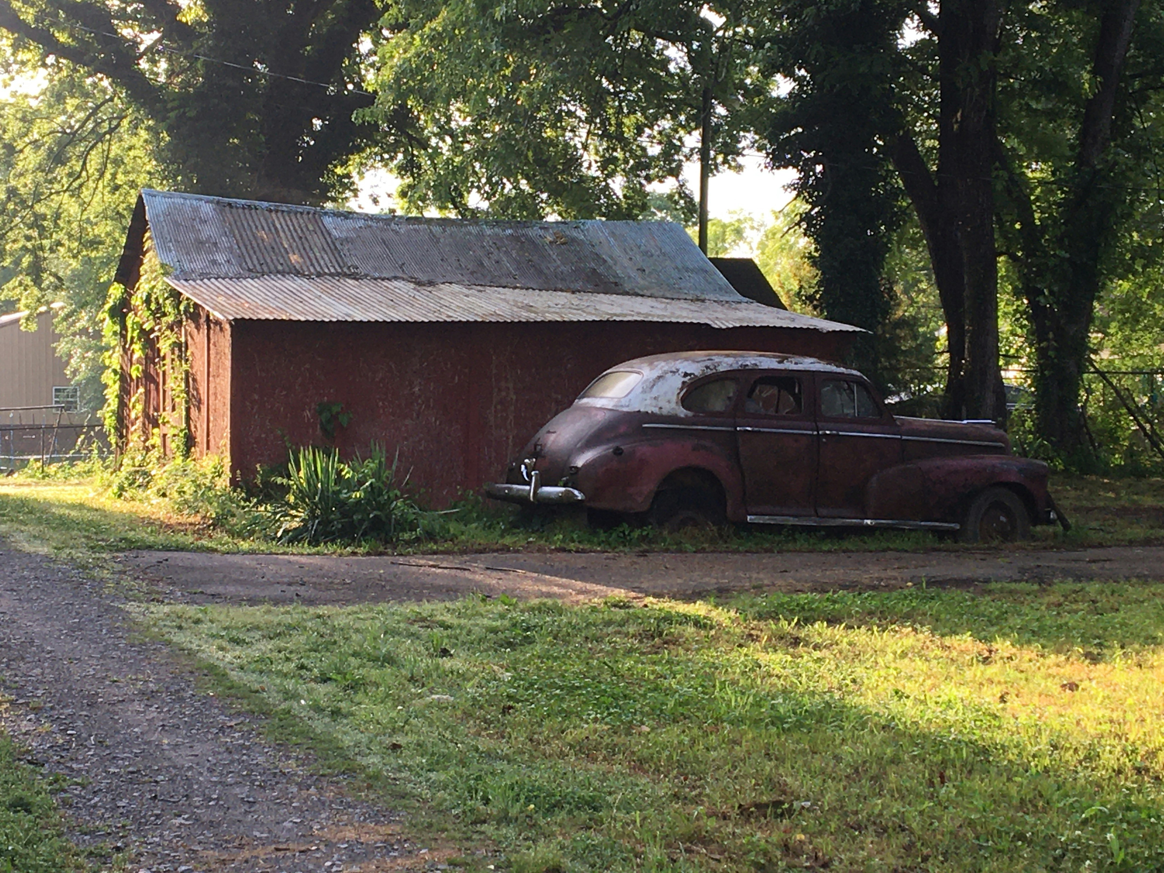 Sunlit relic: a vintage sedan resting beside a weathered red shed