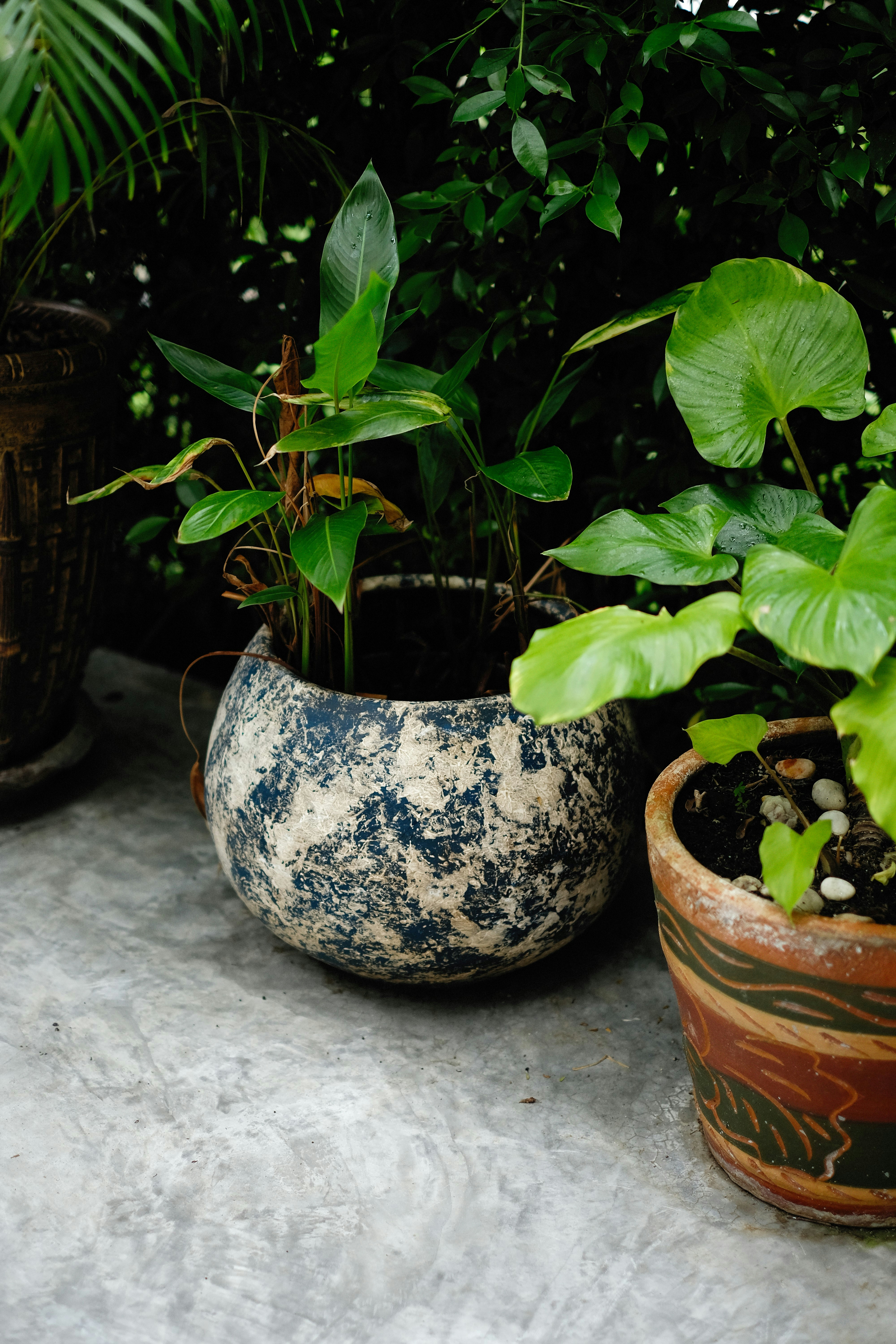 Two decorative plant pots with lush greenery, set against a textured surface, showcasing a blend of natural and artistic elements.