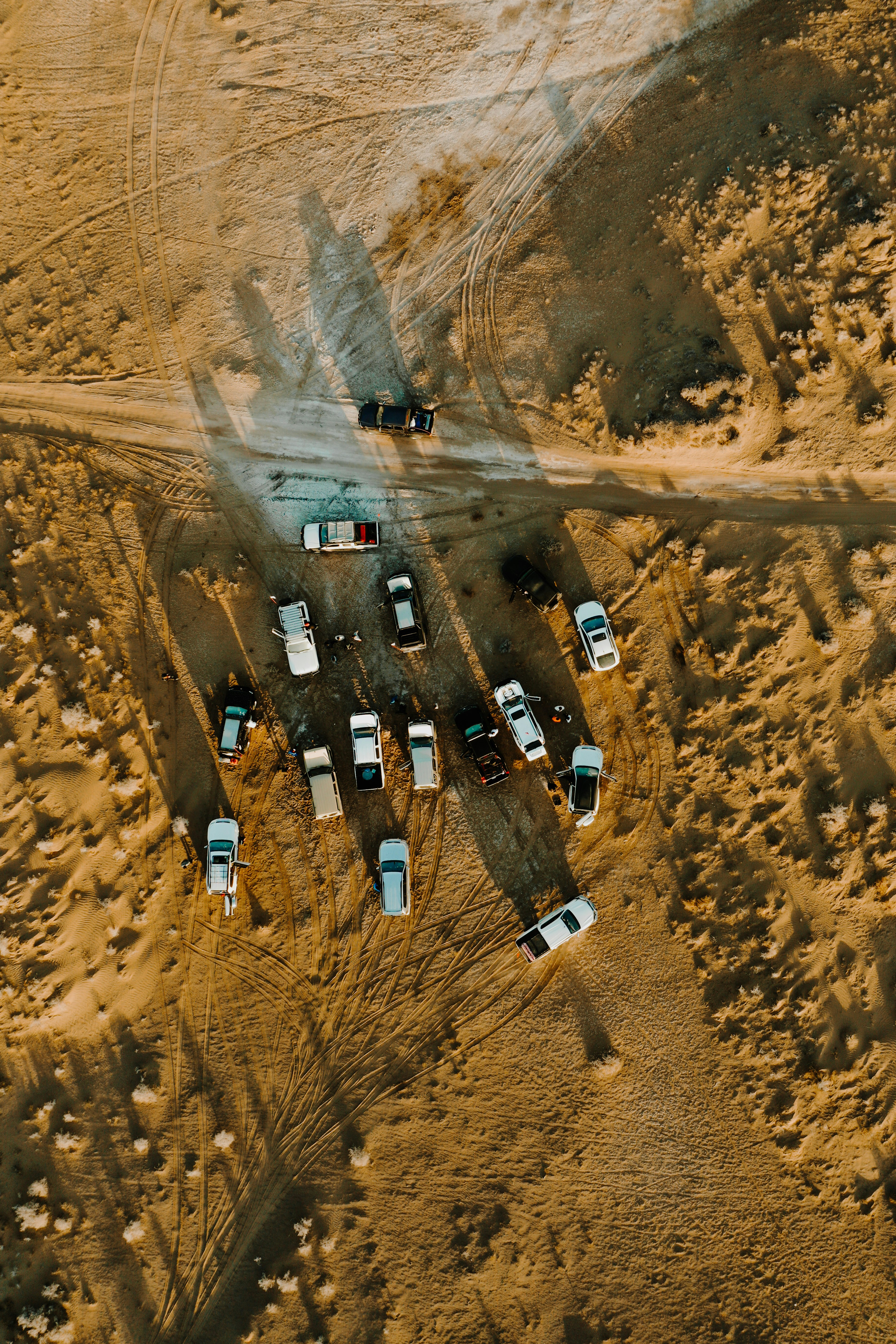 Dust Ring Rally: A Circle of Cars in the Desert