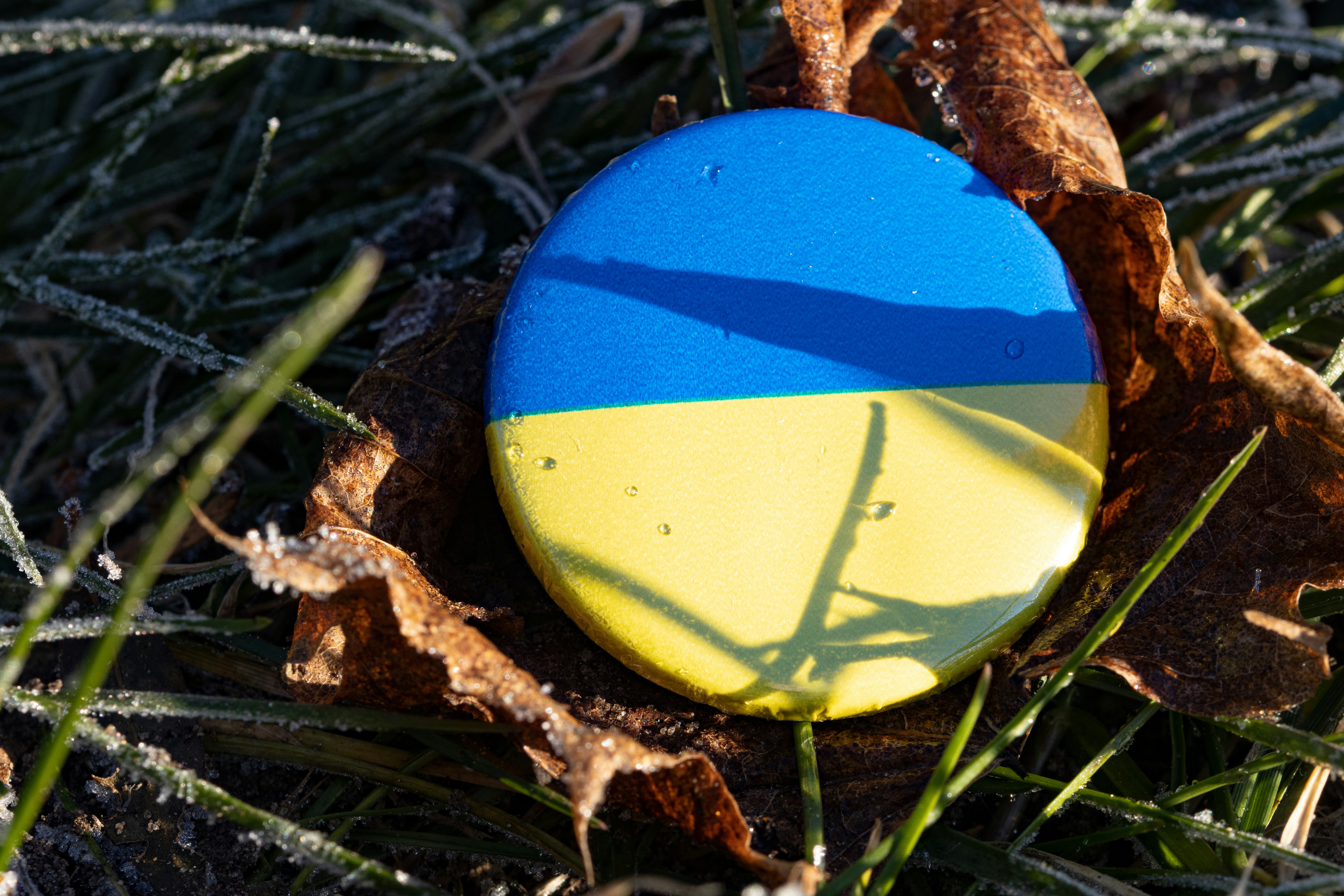 Blue-and-yellow pin nestled in frosted grass