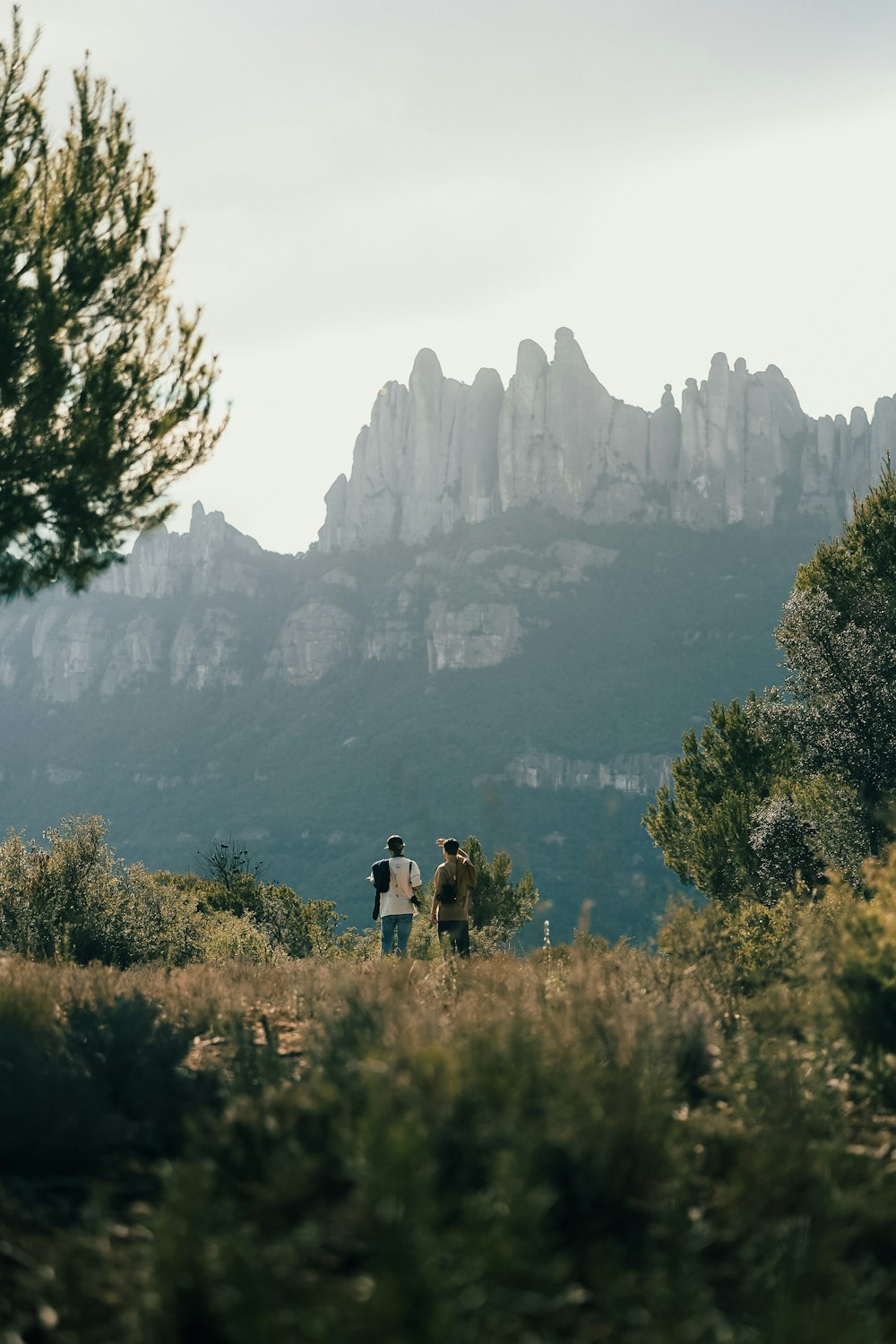 Un couple de personnes debout dans l’herbe photo – Photo En plein air ... Un couple de personnes debout dans l’herbe photo – Photo En plein air ...