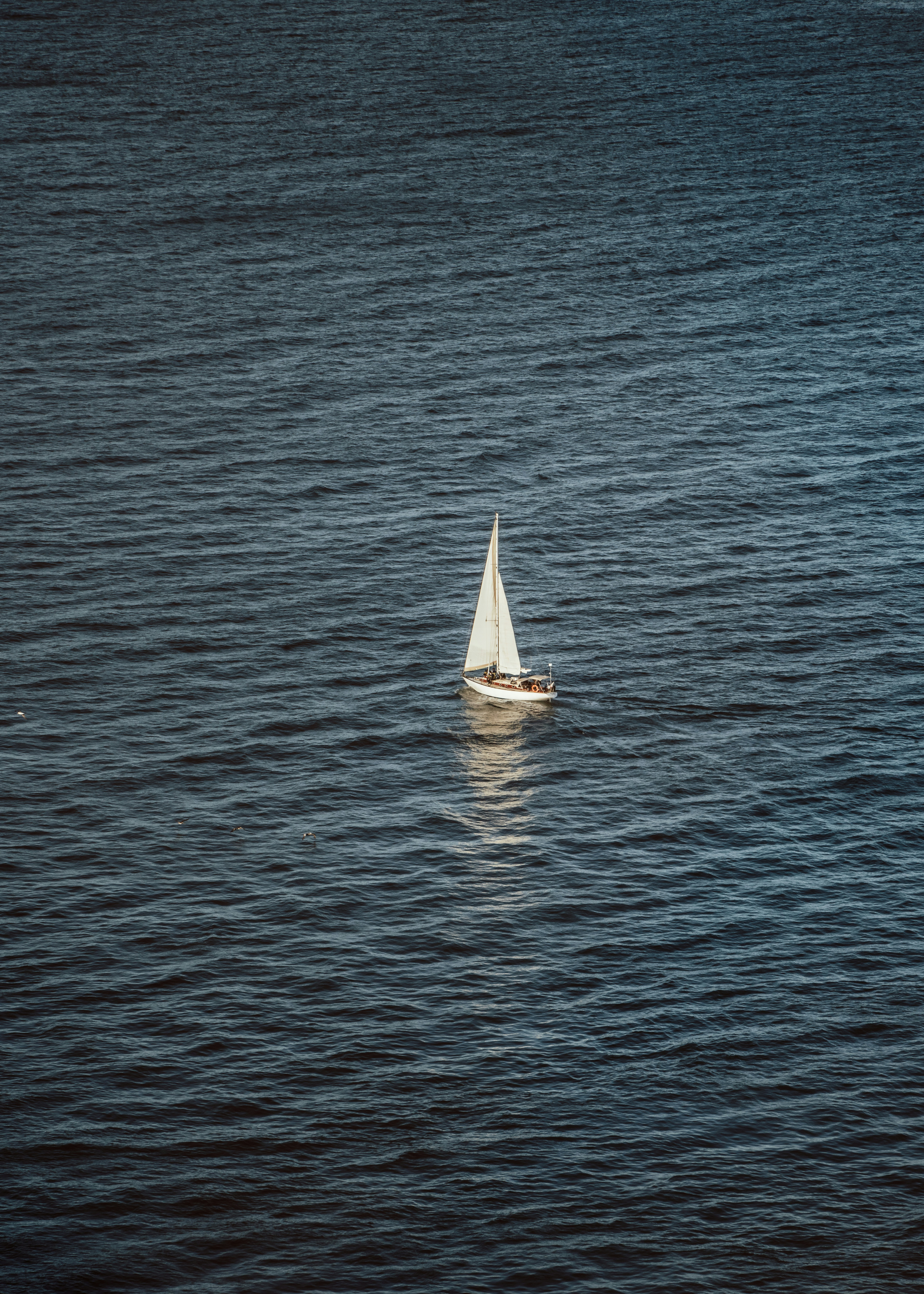 A small sailboat floating on top of a large body of water photo – Free ...