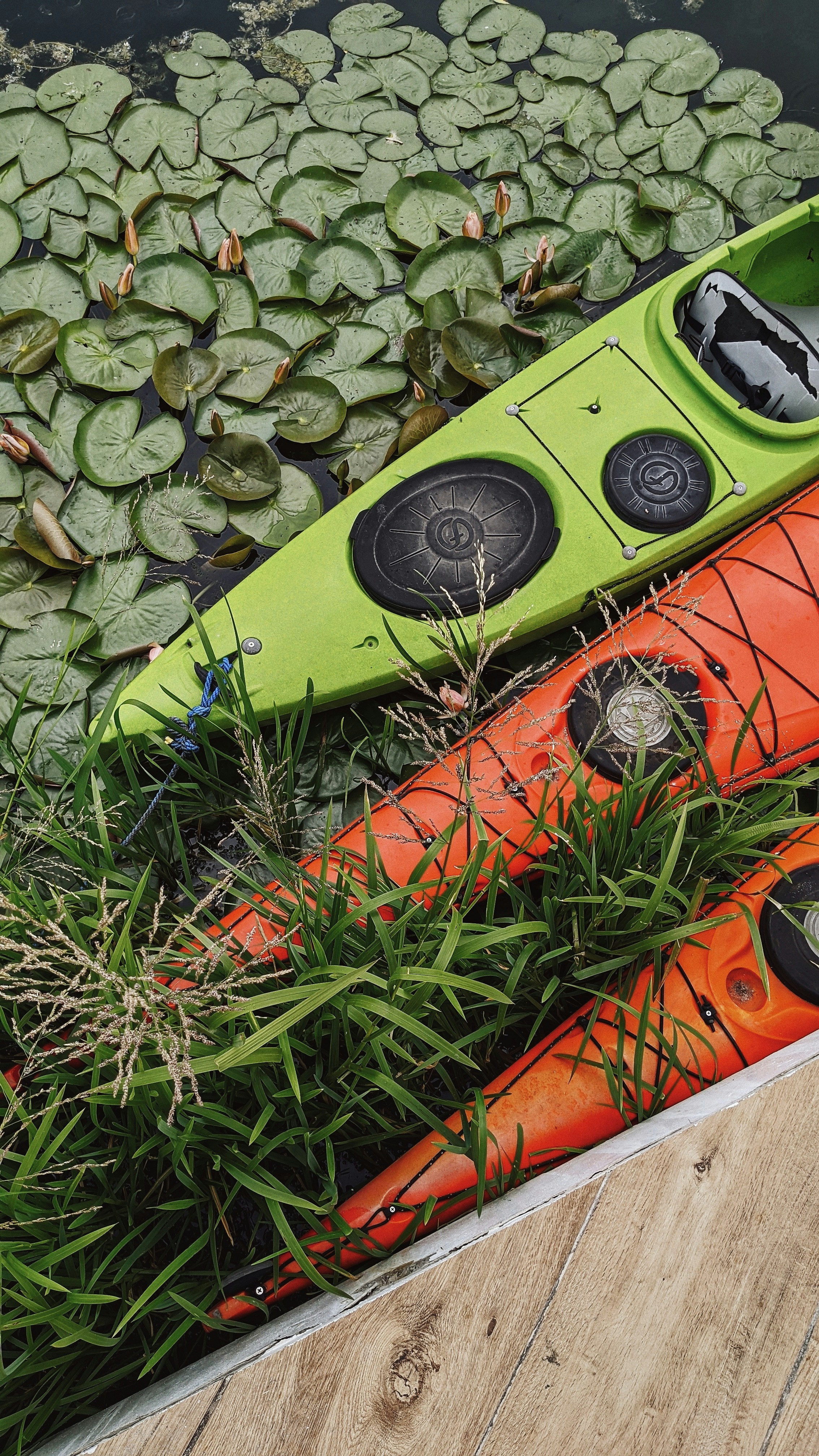 Foto Un kayak sentado encima de un cuerpo de agua rodeado de nenúfares ...