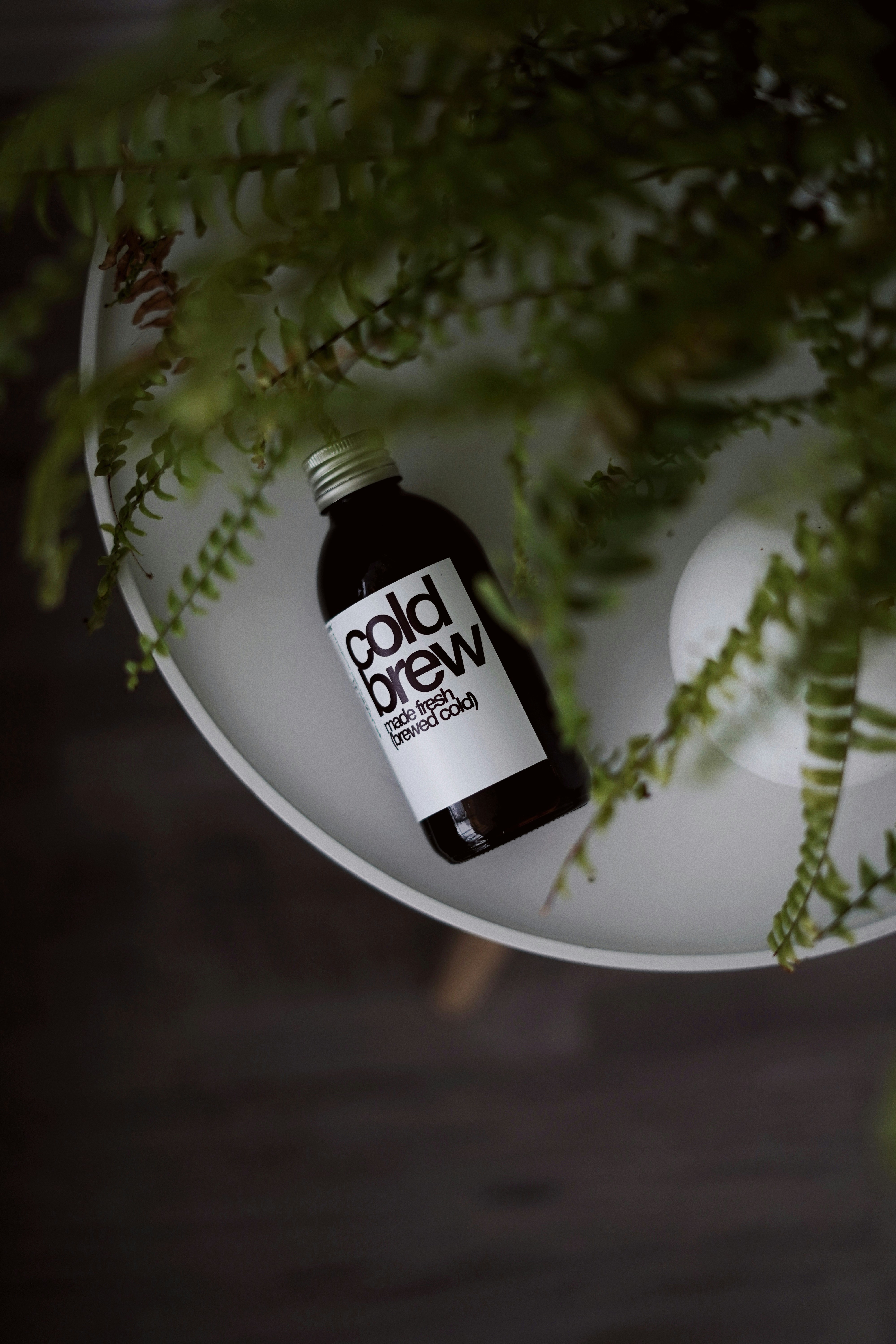 Cold Brew Beneath Ferns: A Quiet Center on a Bottle