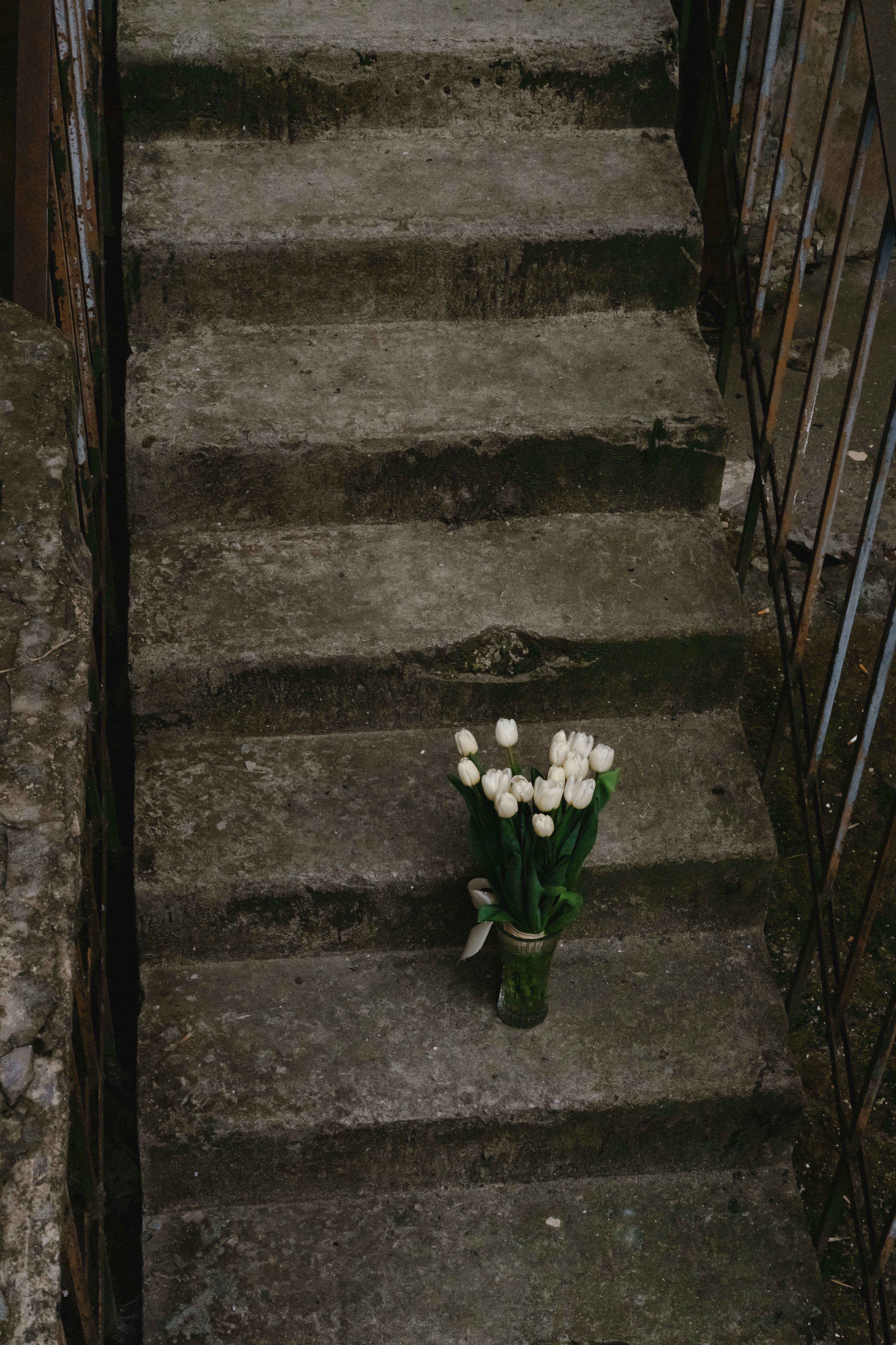 A bunch of flowers that are sitting on some steps photo – Free Grey ...