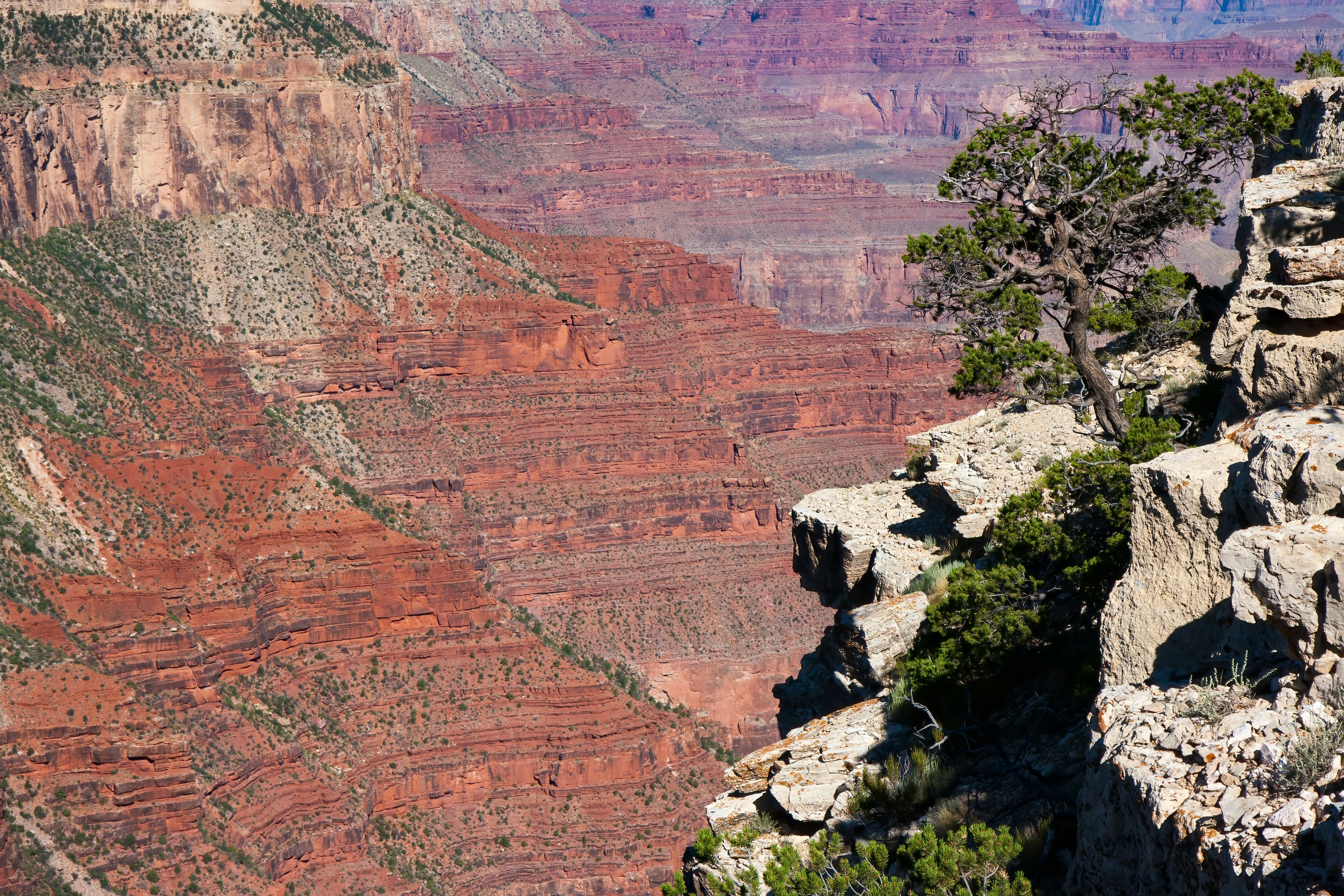 A view of the grand canyon from the top of a mountain photo – Free ...