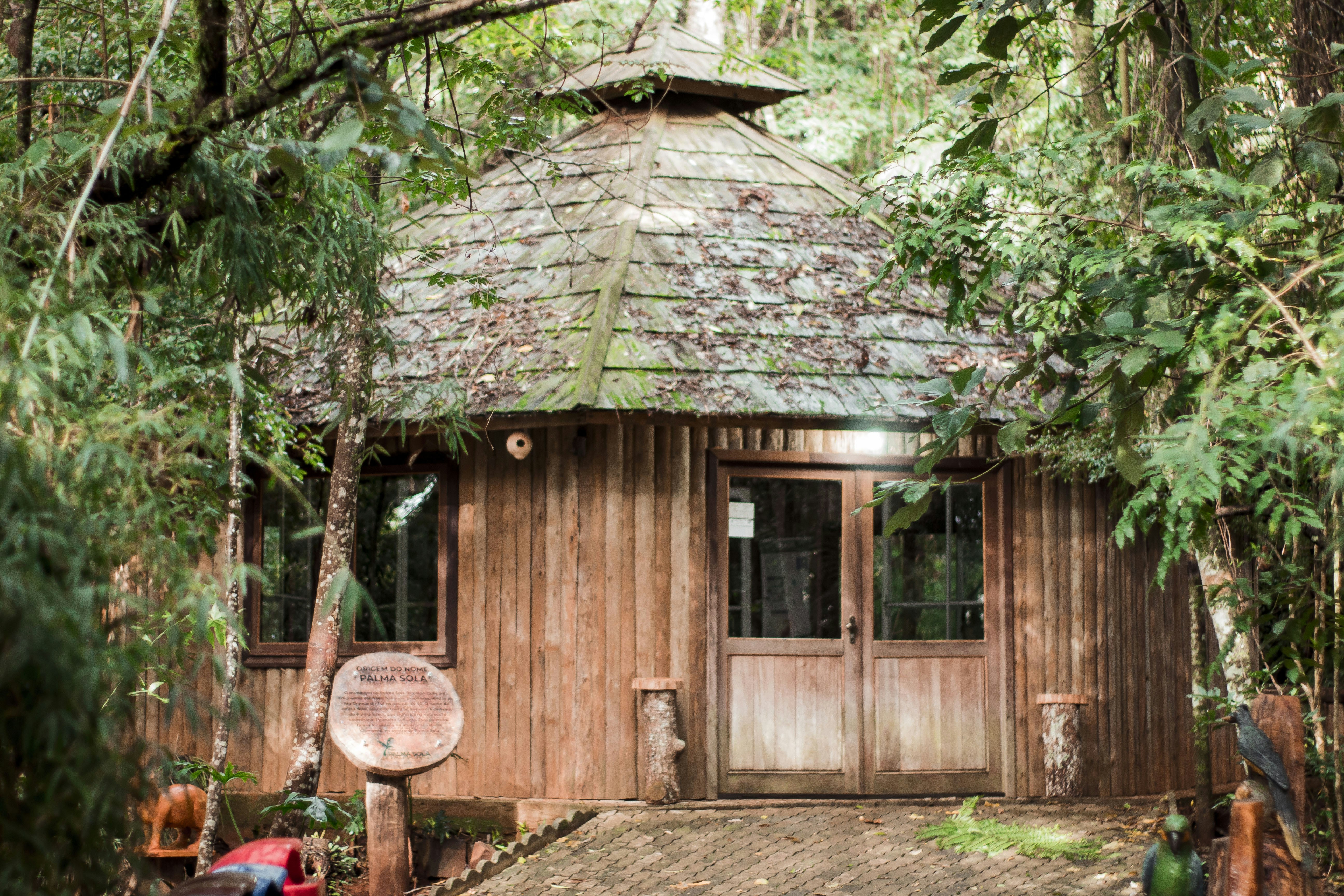 Talia Furlan (@taliafurlan) | Unsplash Photo Community