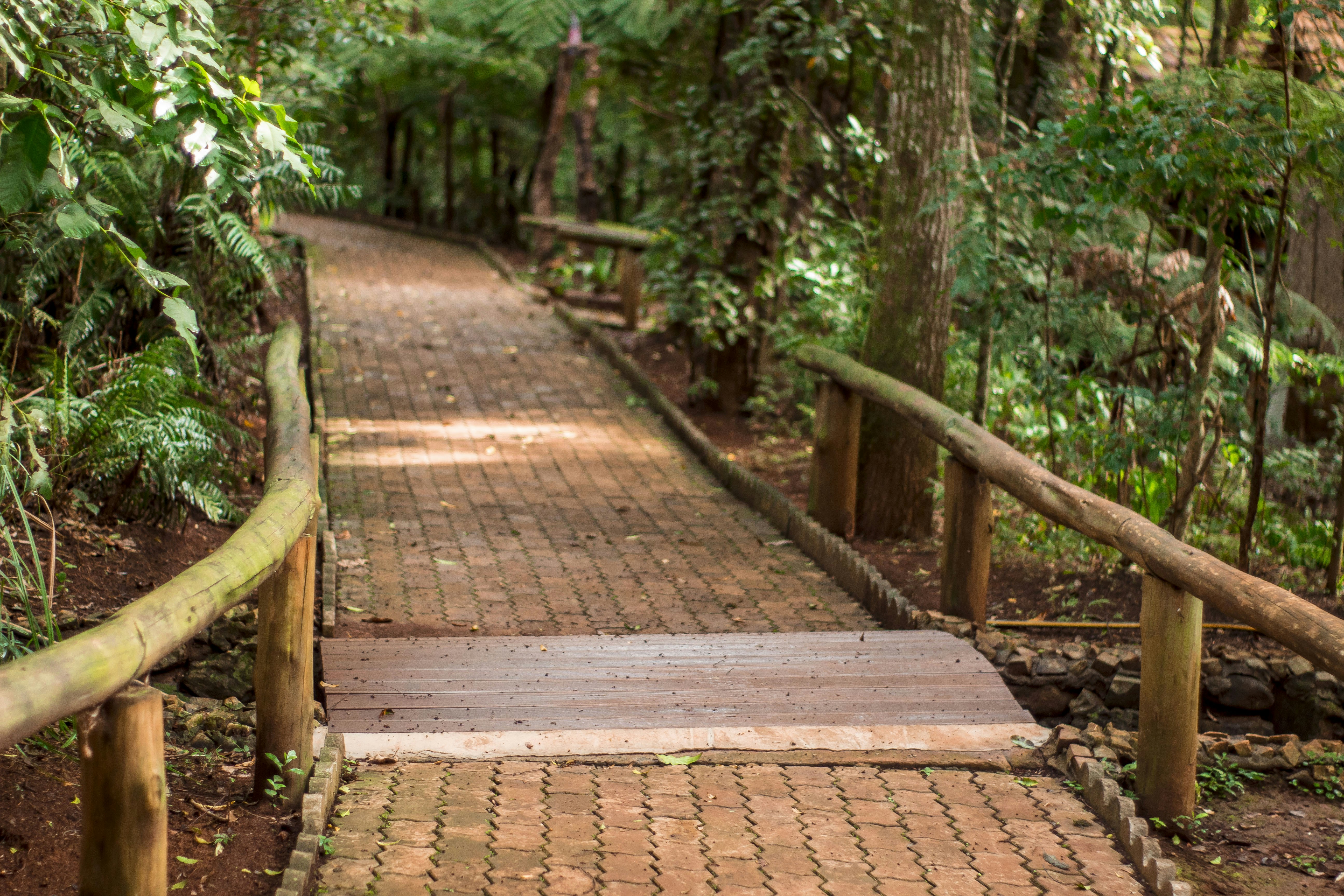 Talia Furlan (@taliafurlan) | Unsplash Photo Community