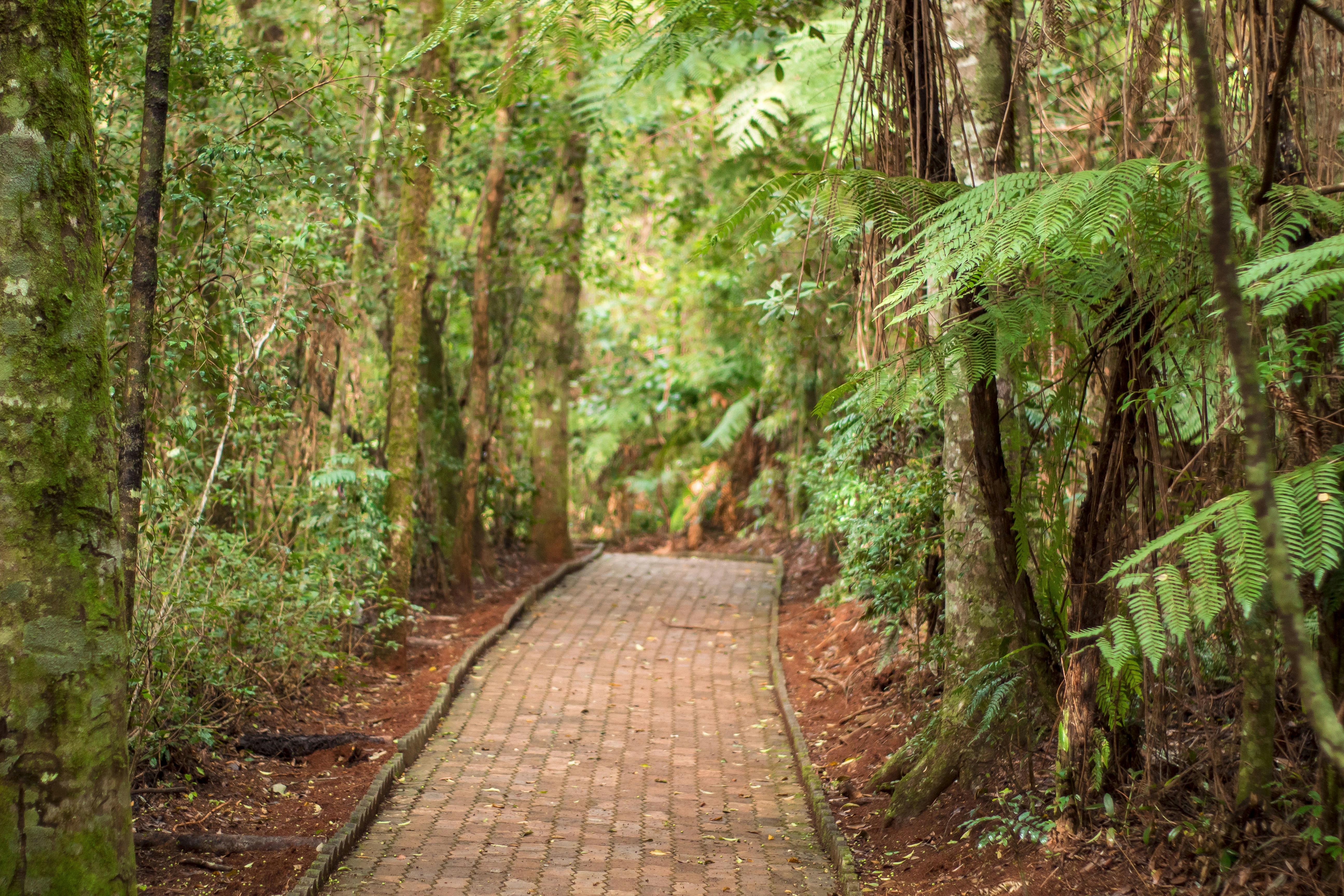 Talia Furlan (@taliafurlan) | Unsplash Photo Community