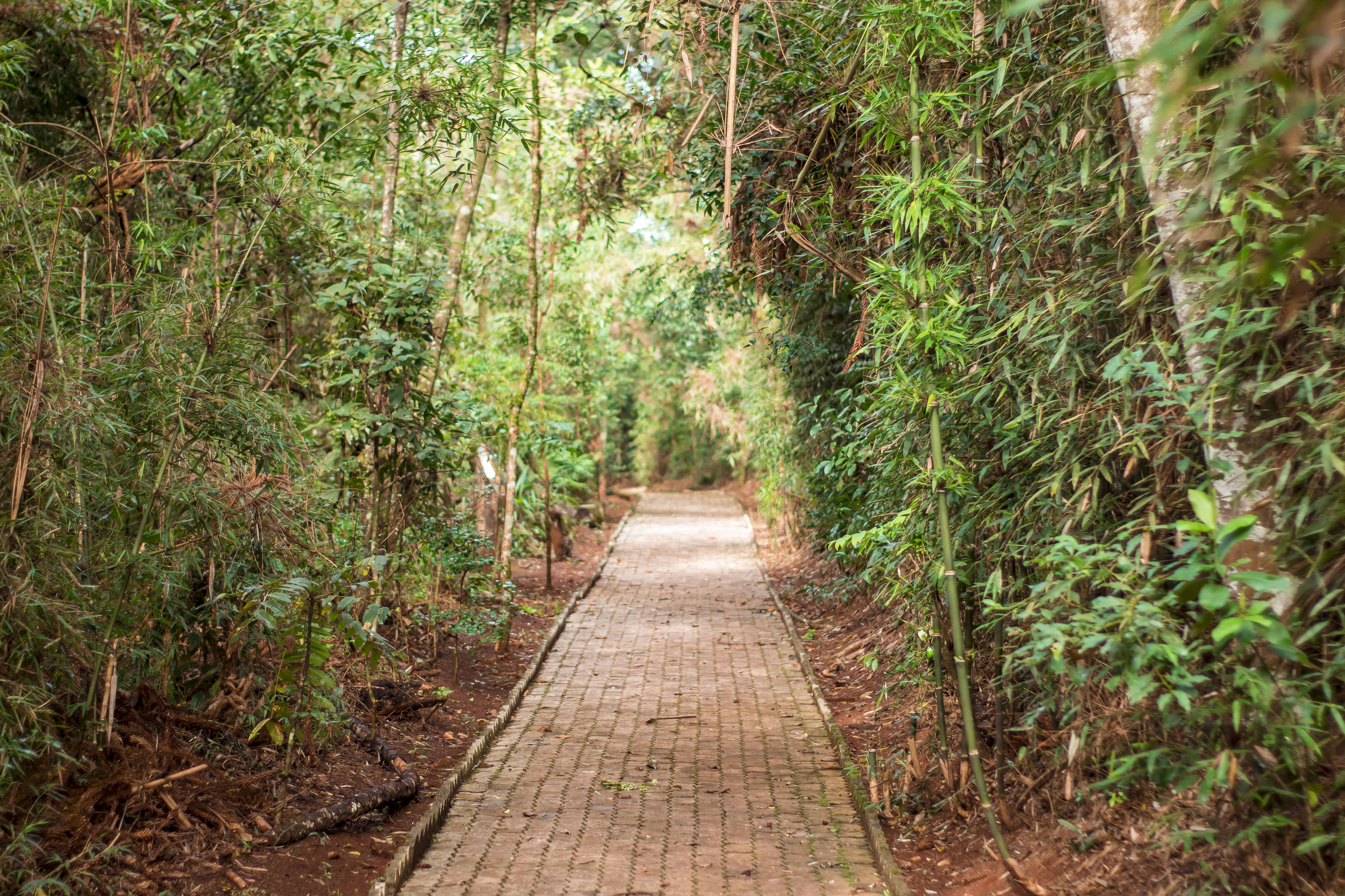 Talia Furlan (@taliafurlan) | Unsplash Photo Community