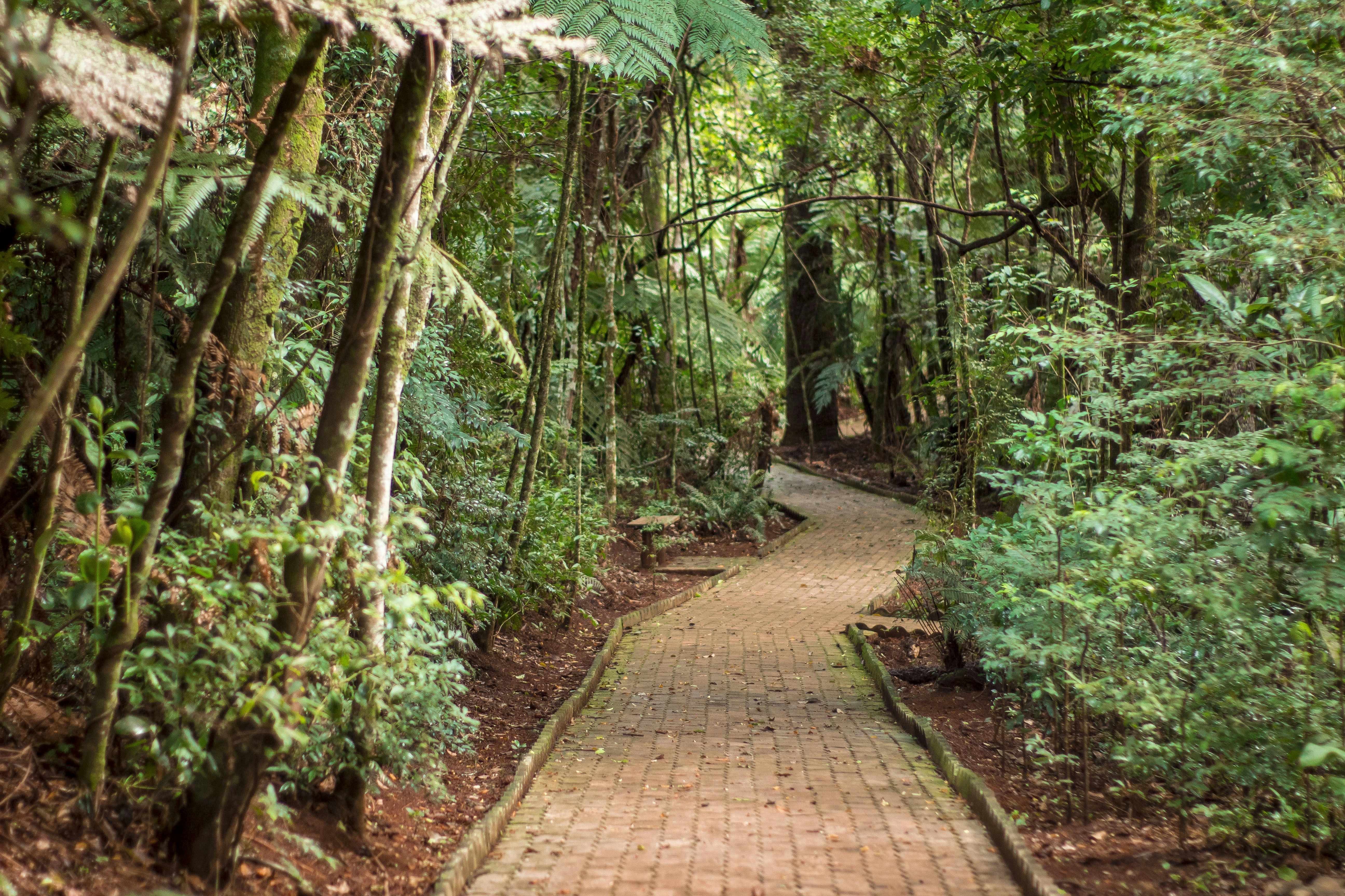 Talia Furlan (@taliafurlan) | Unsplash Photo Community