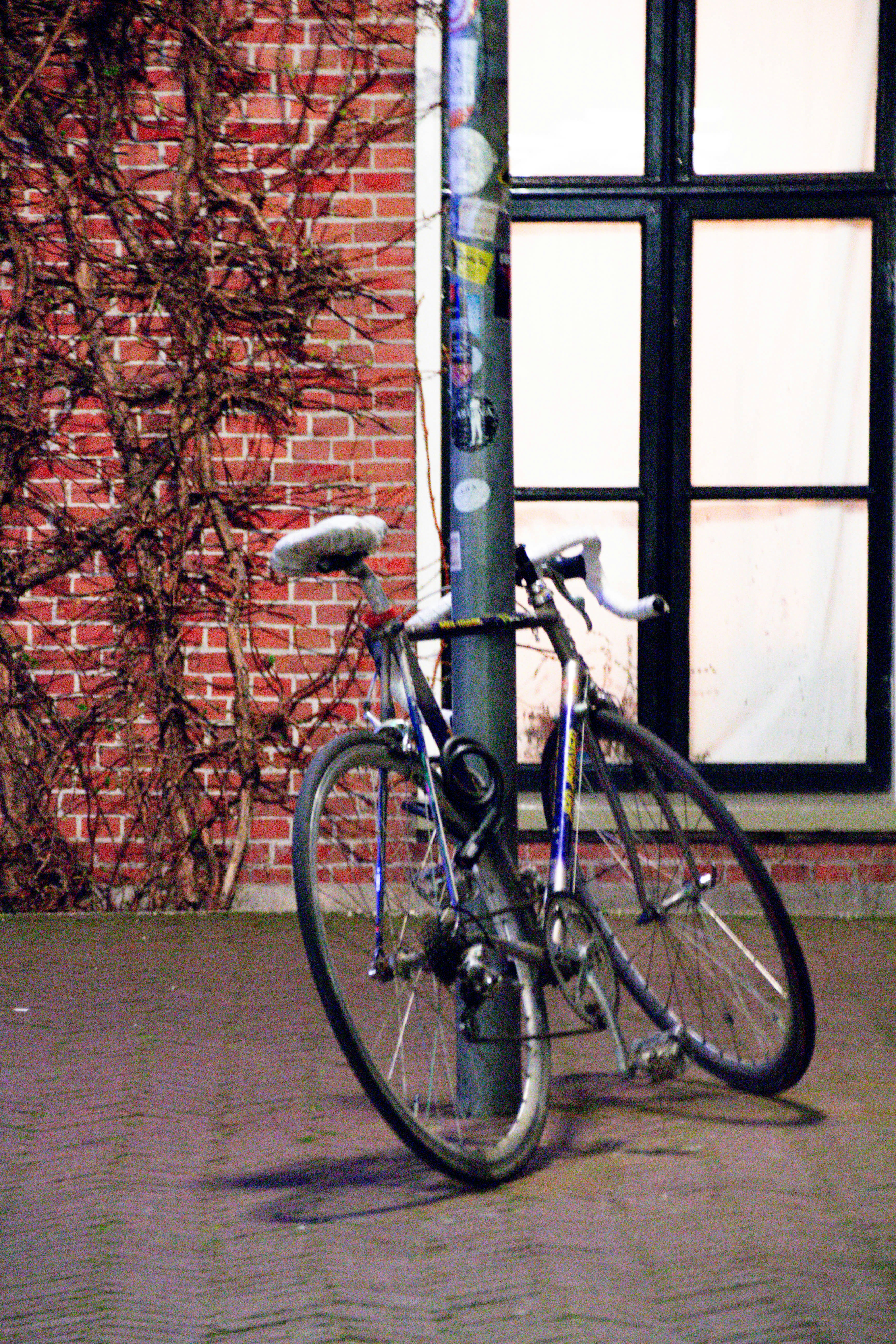 A bicycle is chained to a street pole photo – Free Bicycle Image on ...