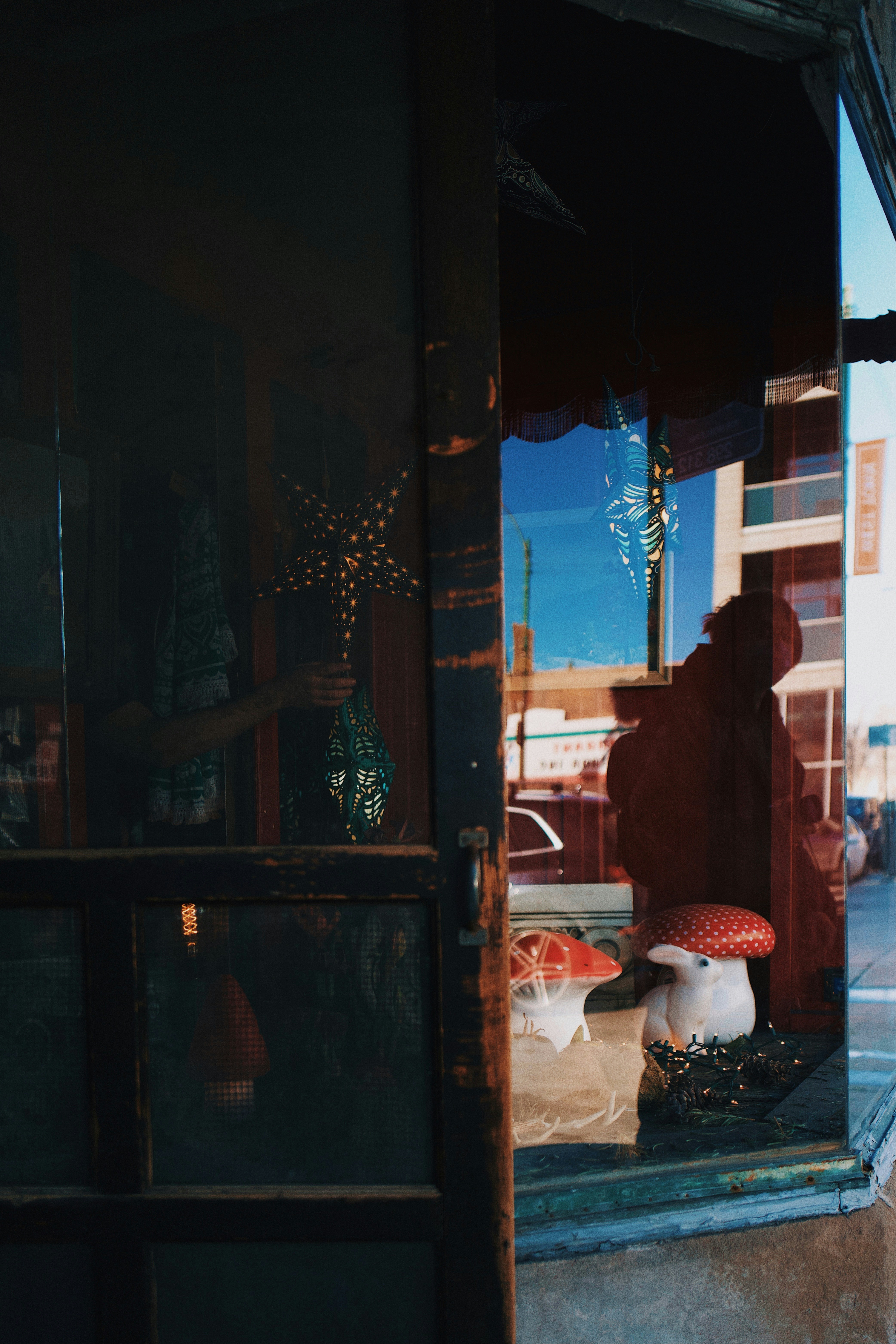 Red-Capped Mushroom in a Glass-Front Storefront Amid Street Reflections