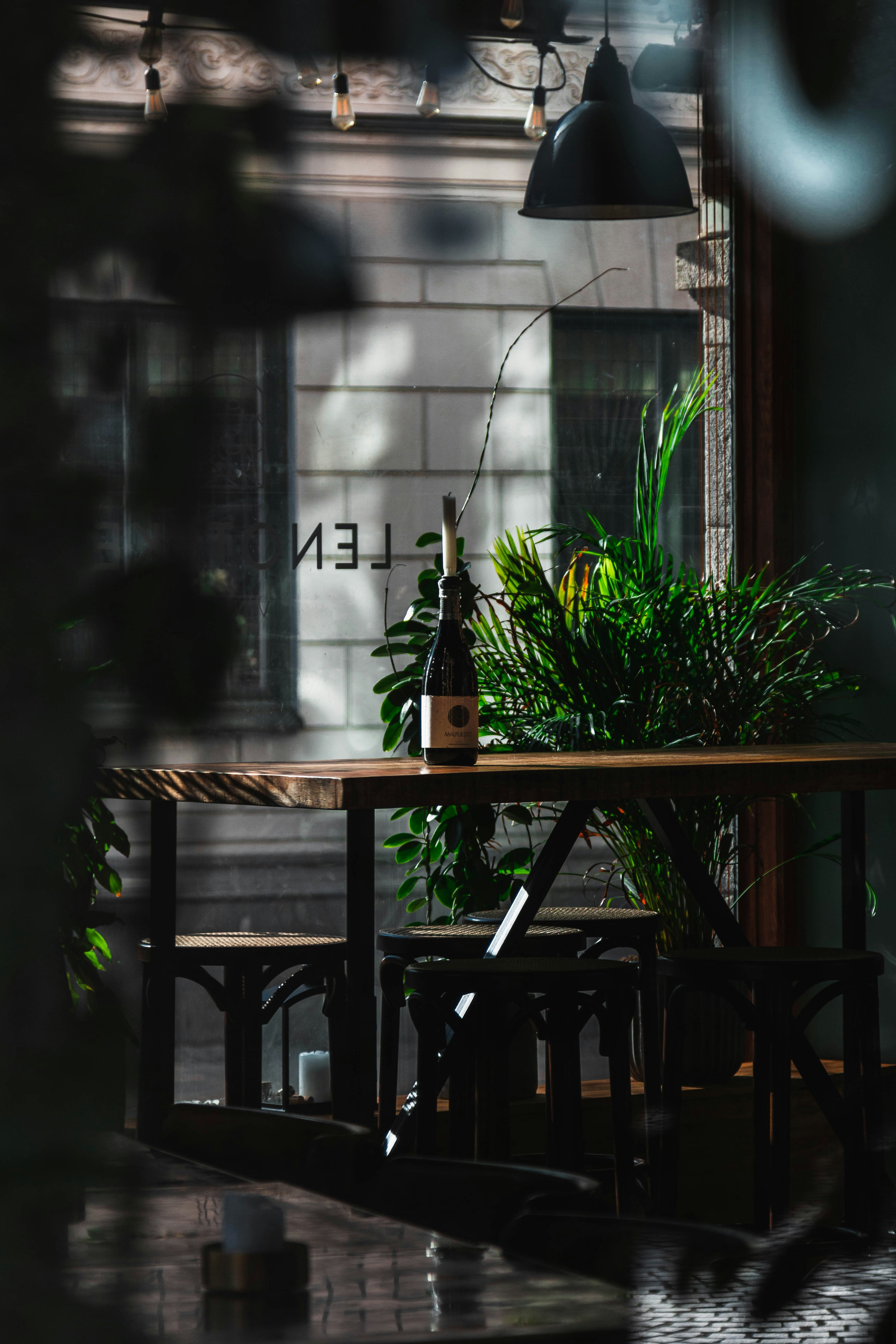 Wine on Wood, Greenery in Soft Light: A Quiet Café Moment