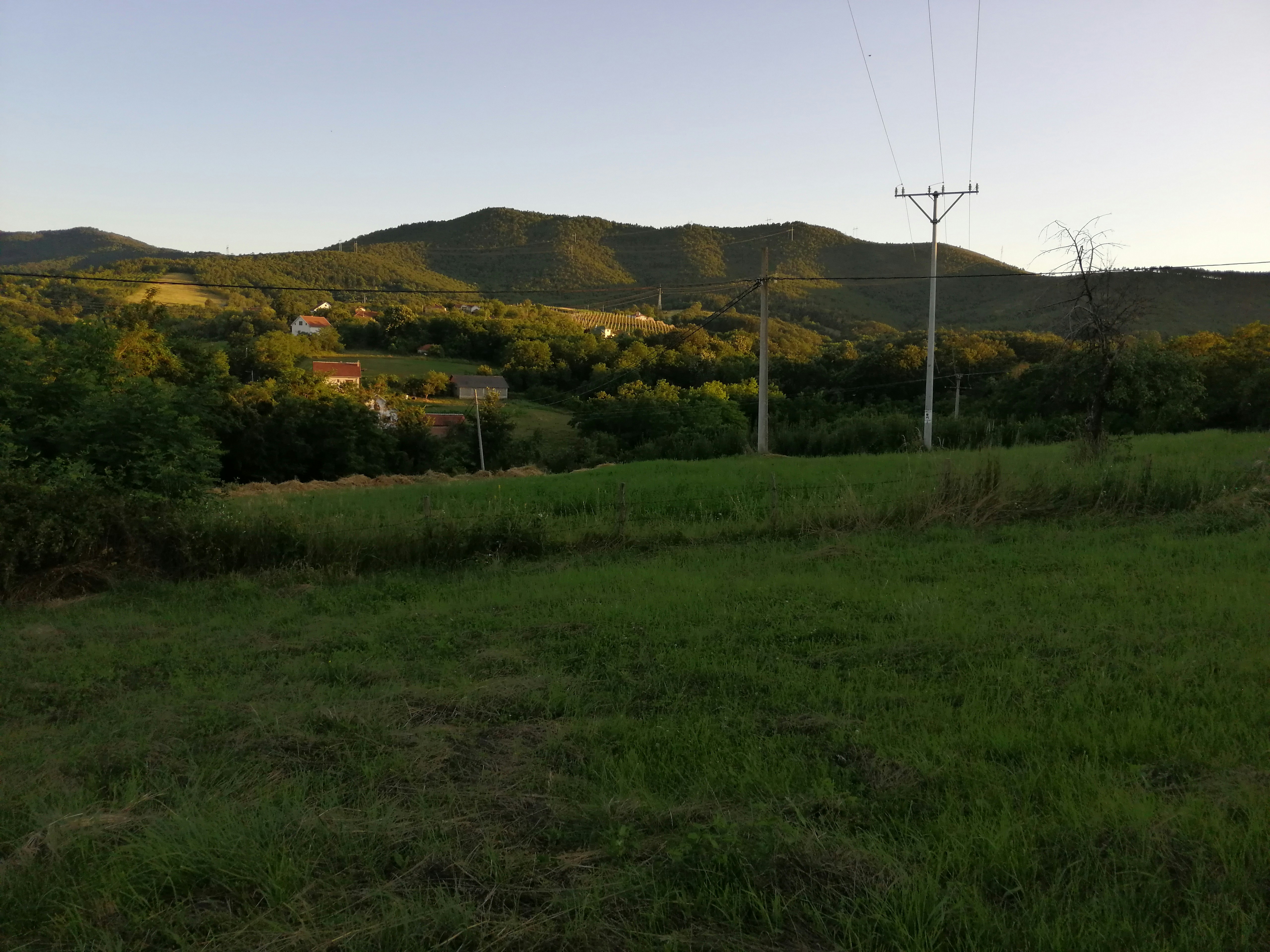 Lush green fields stretch towards distant hills under a soft evening light, dotted with rustic homes and power lines. A tranquil rural landscape invites contemplation.