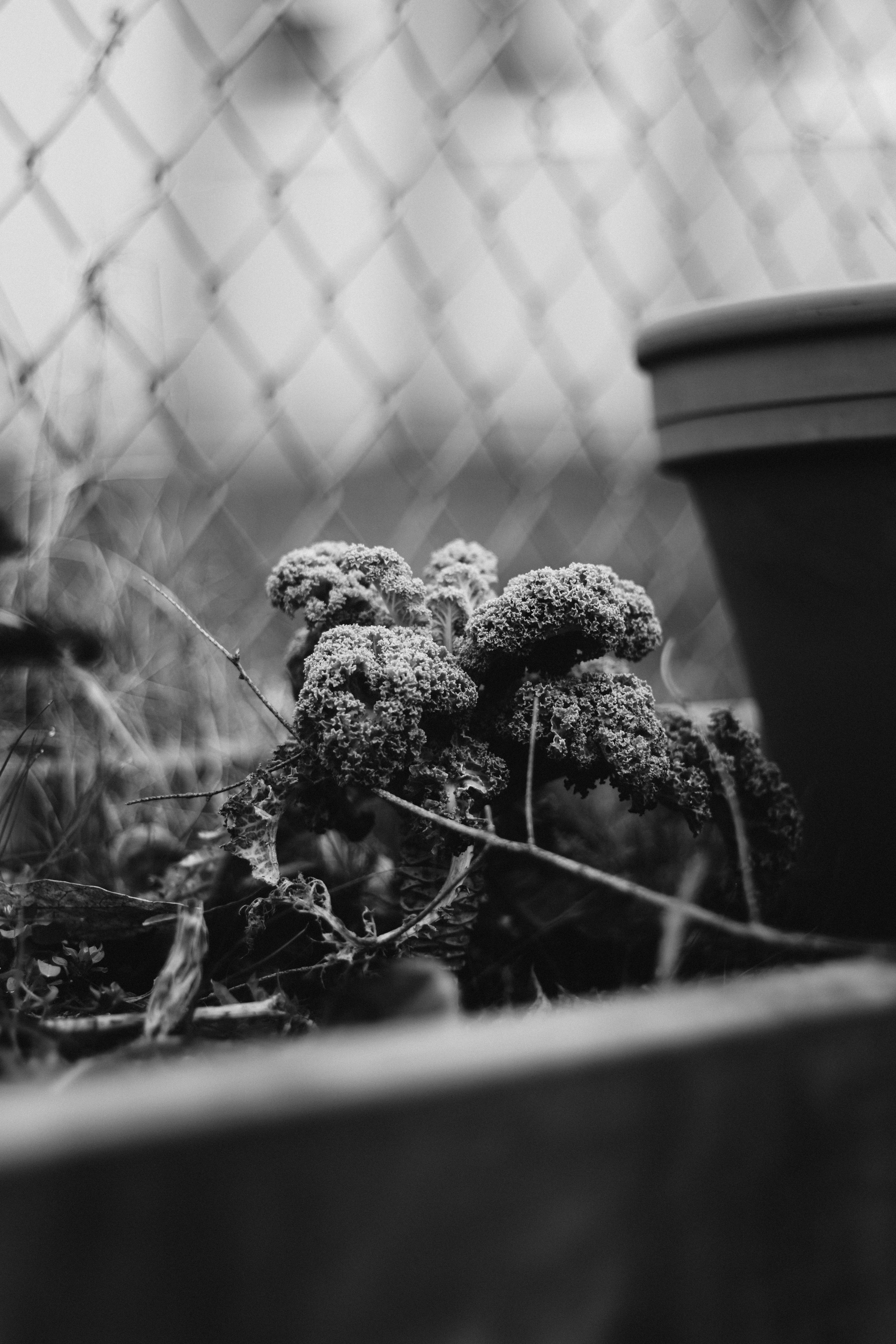 Photo by Aedrian Salazar with Canon EOS 800D