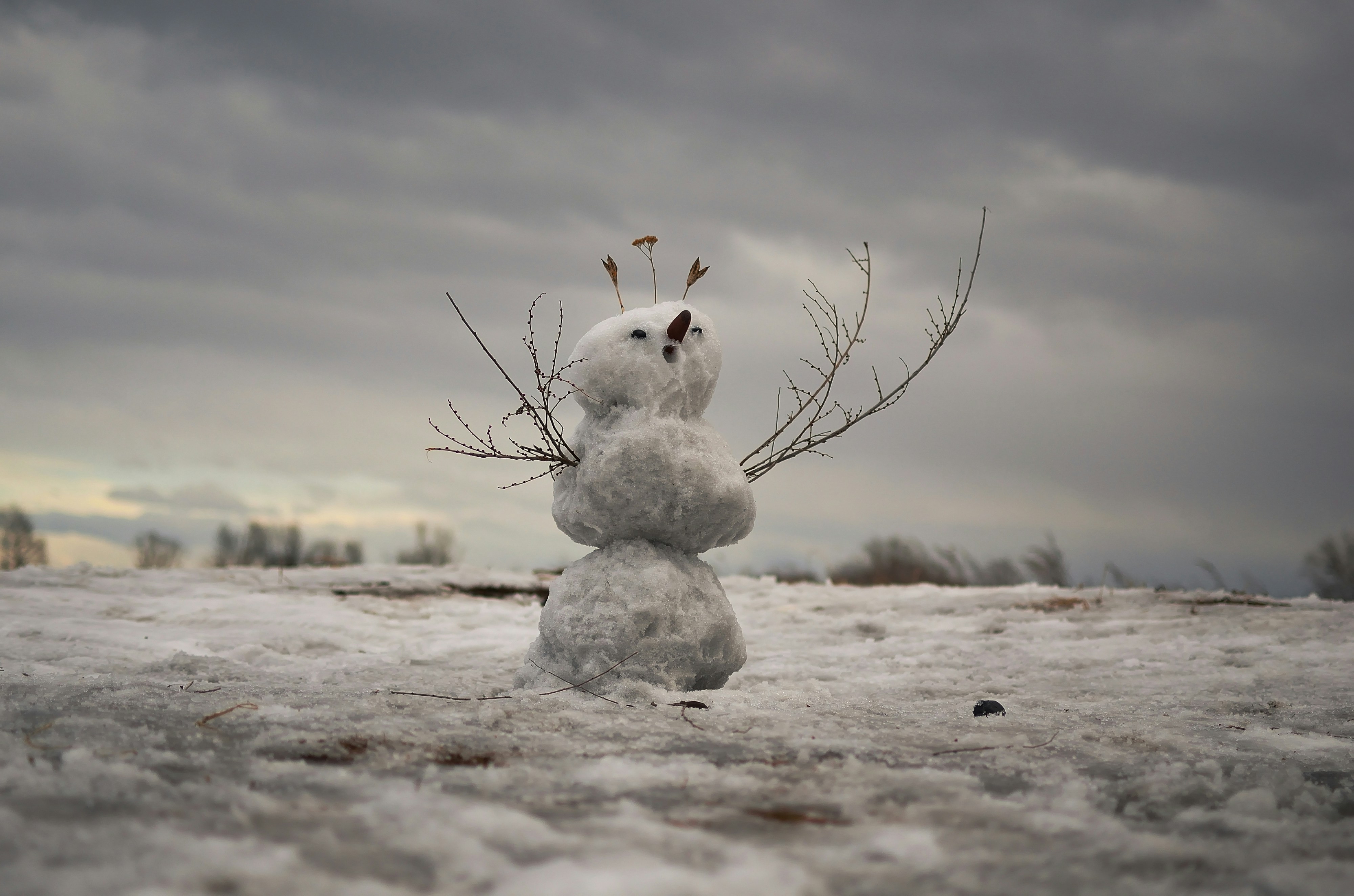 A Tiny Snowman Stands Watch on a Quiet, Cloudy Field