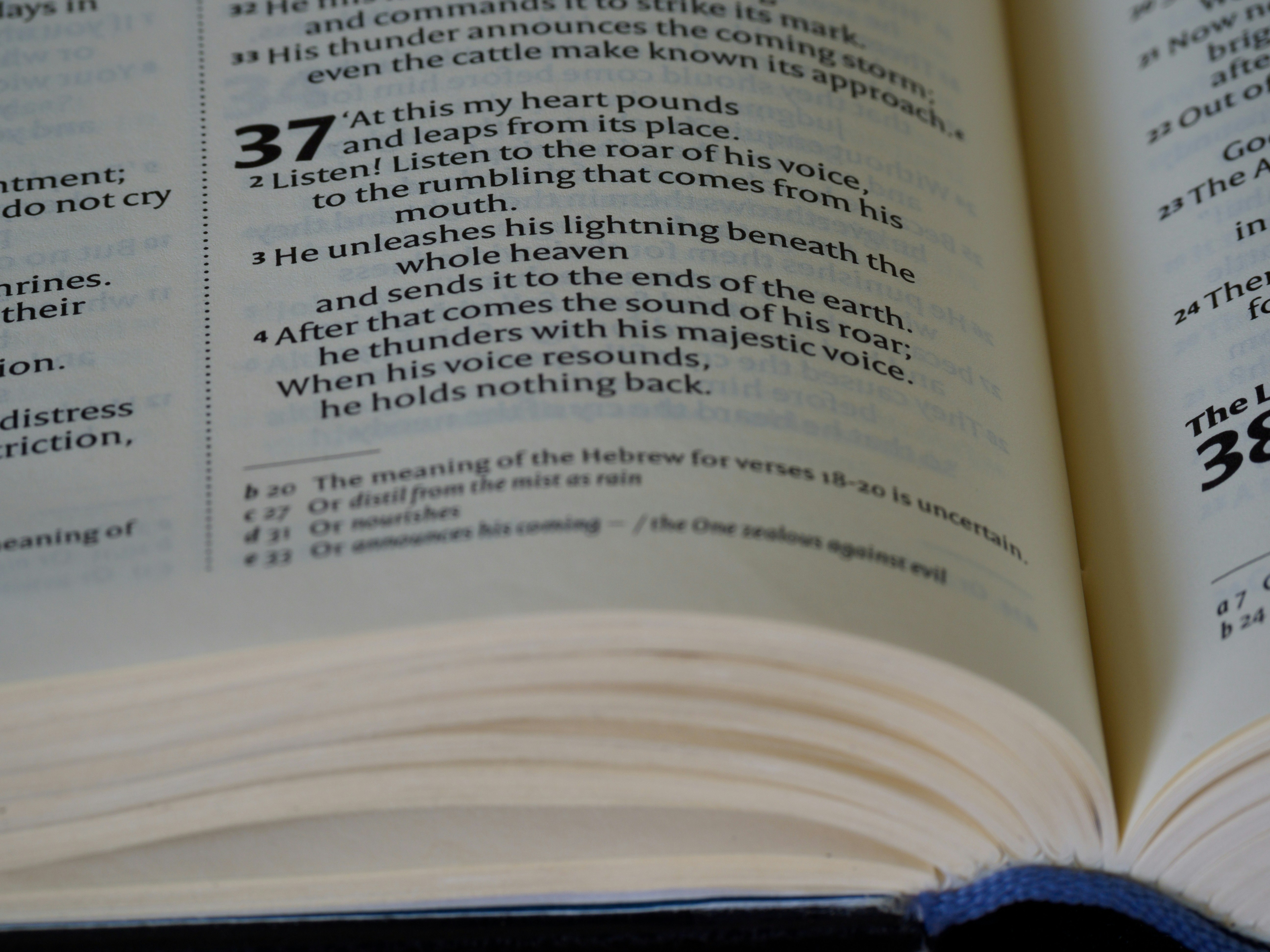 A close up of an open book with numbers on it photo – Free Grey Image ...