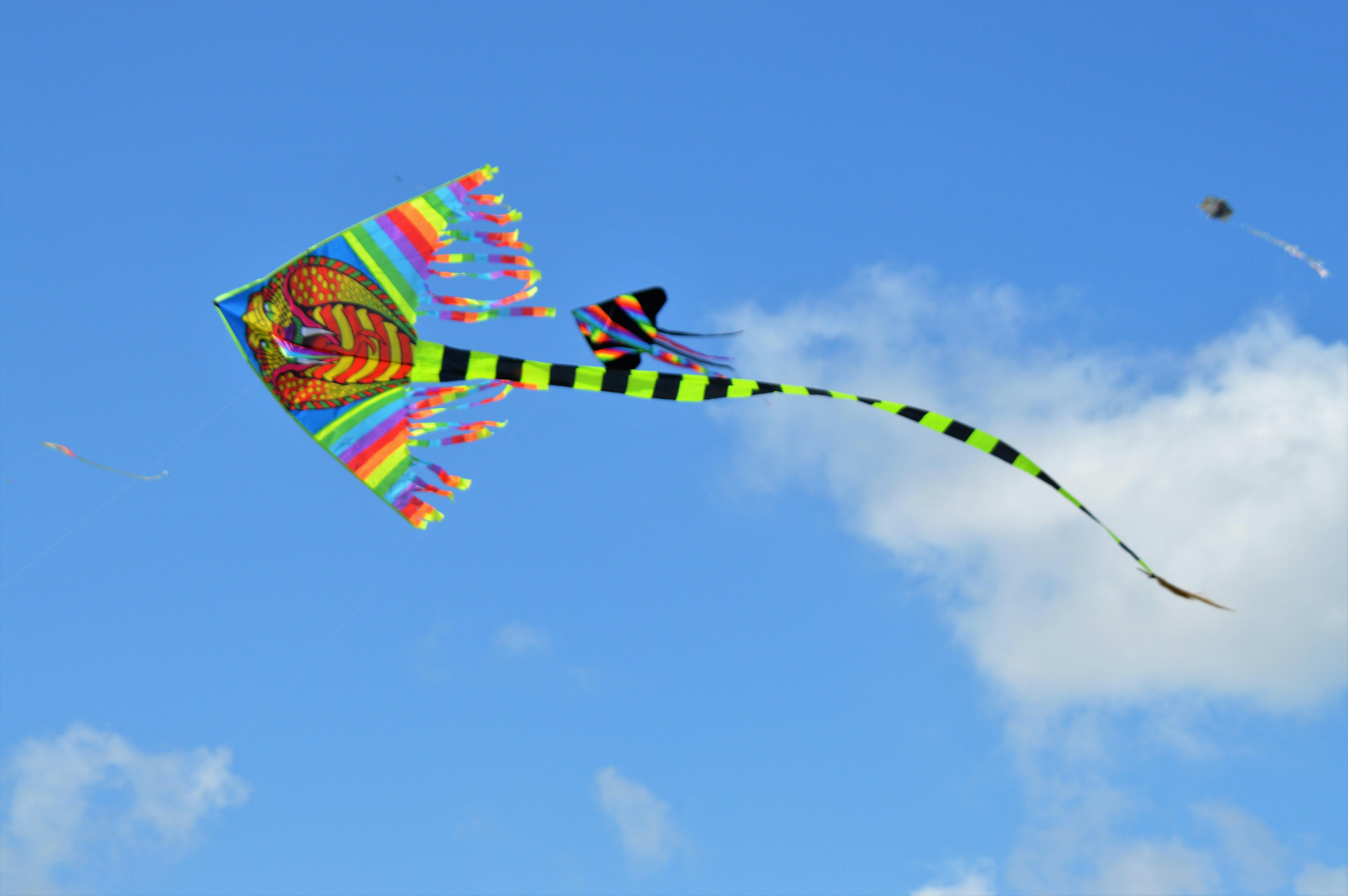 A colorful kite flying through a blue sky photo – Free Outdoor ...