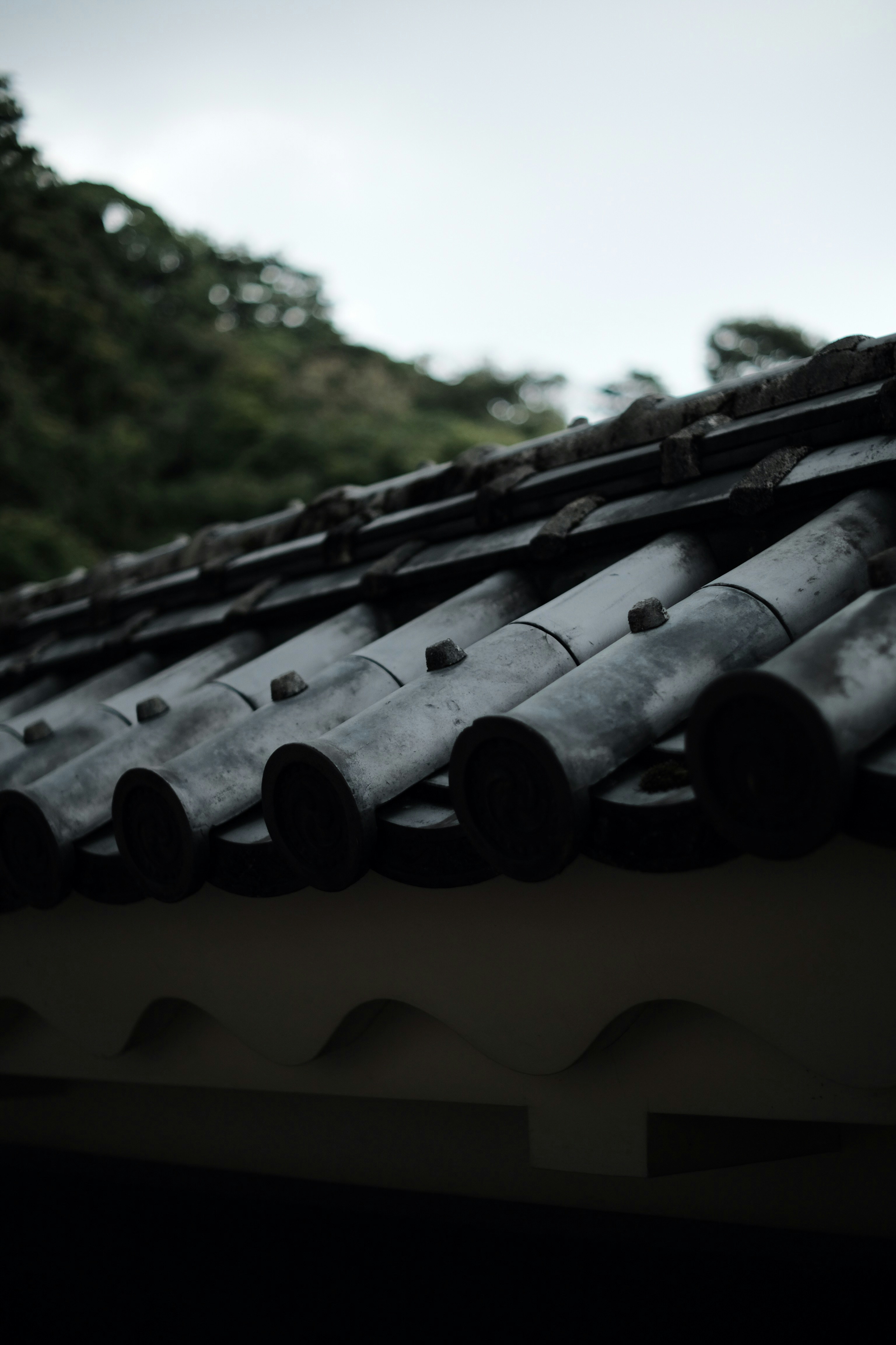 Weathered Tile Ridge: A Close-Up Study of Traditional Roofing Against a Green Backdrop