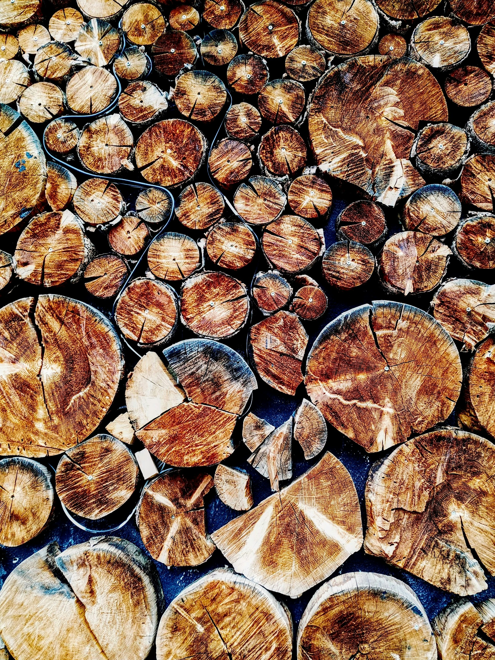a pile of cut logs sitting next to each other