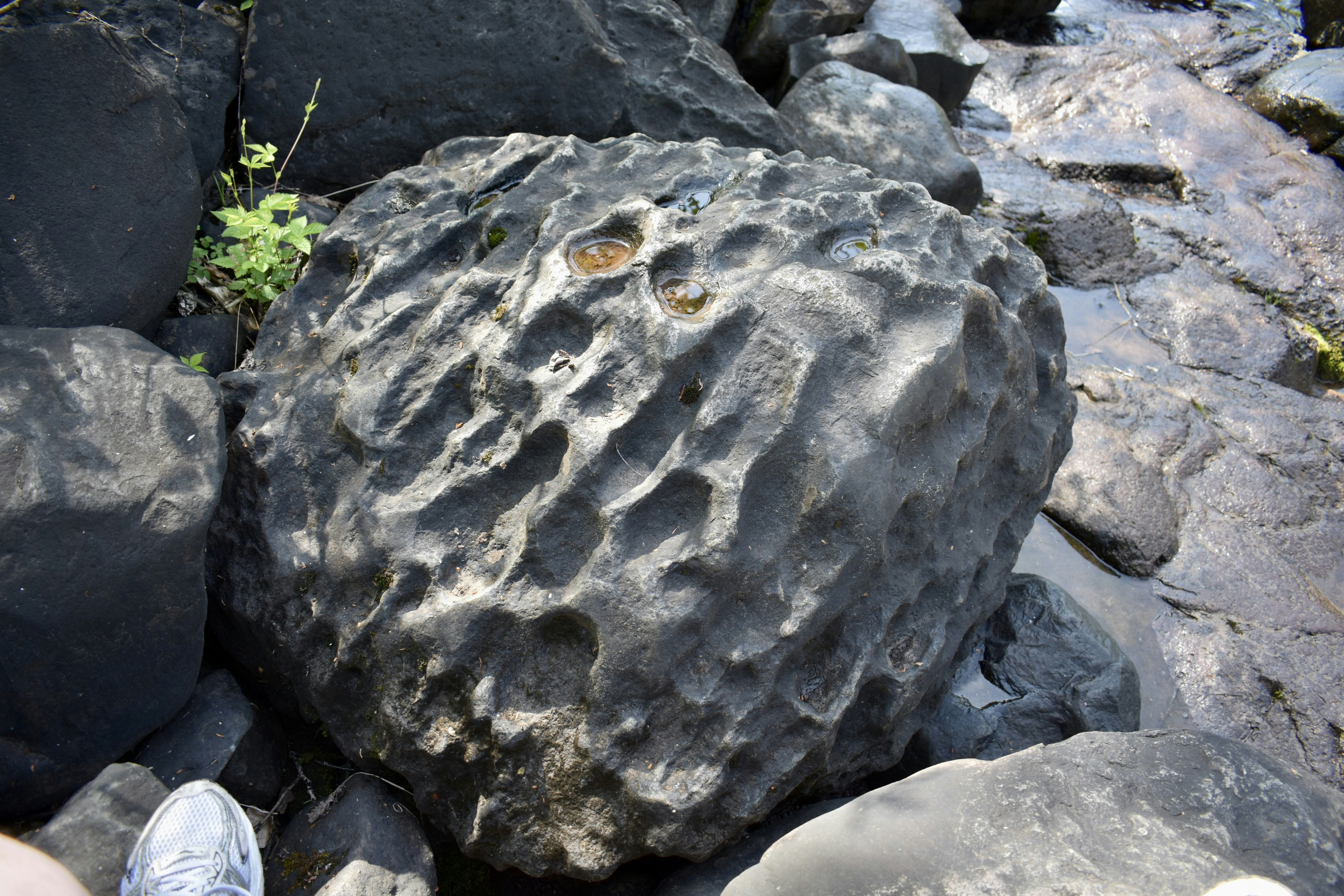 Weathered rock with unique textures and patterns beside a flowing stream, showcasing nature's artistry.