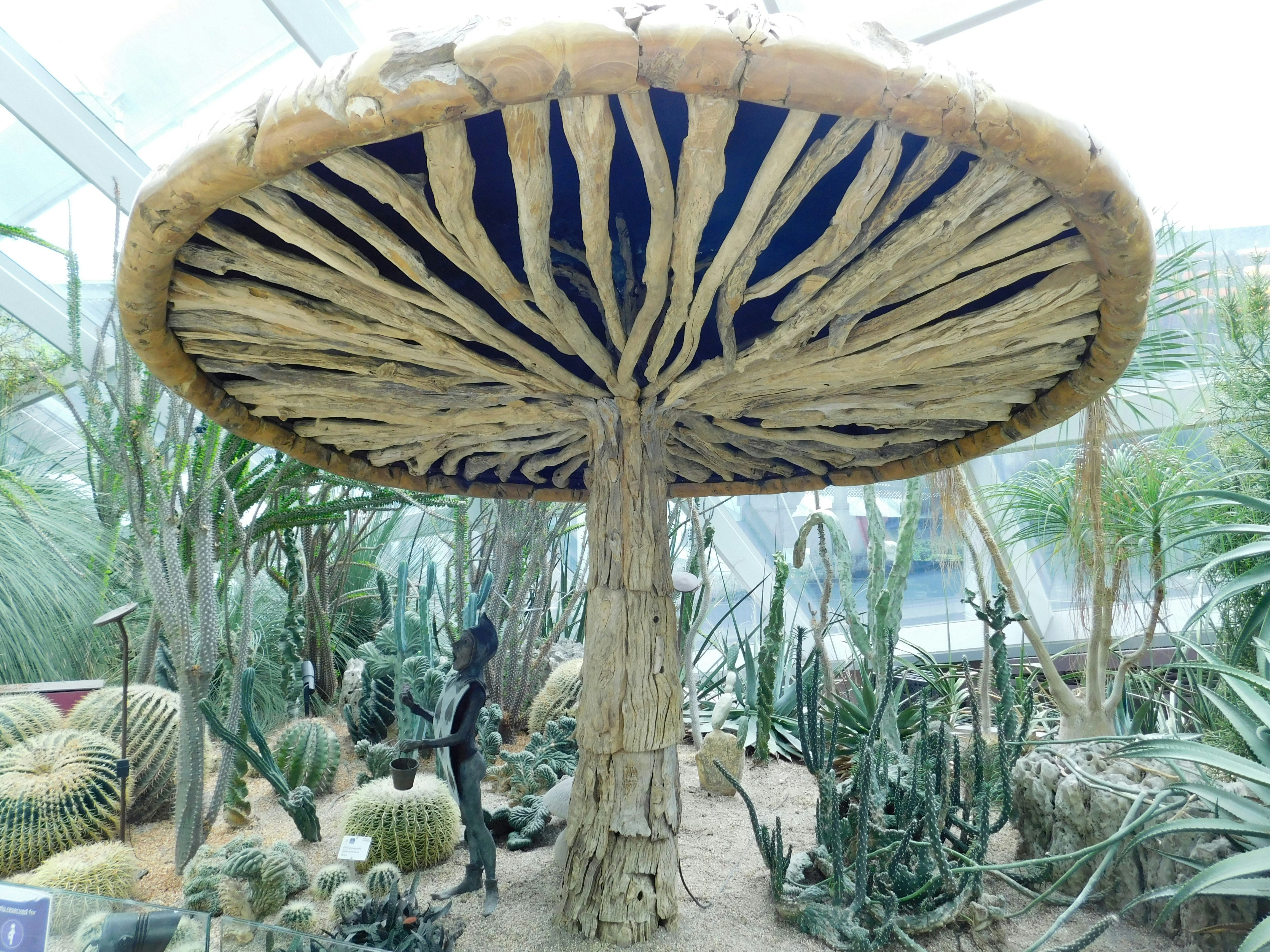 An oversized wooden mushroom sculpture stands prominently among various cacti and desert plants in a greenhouse setting.