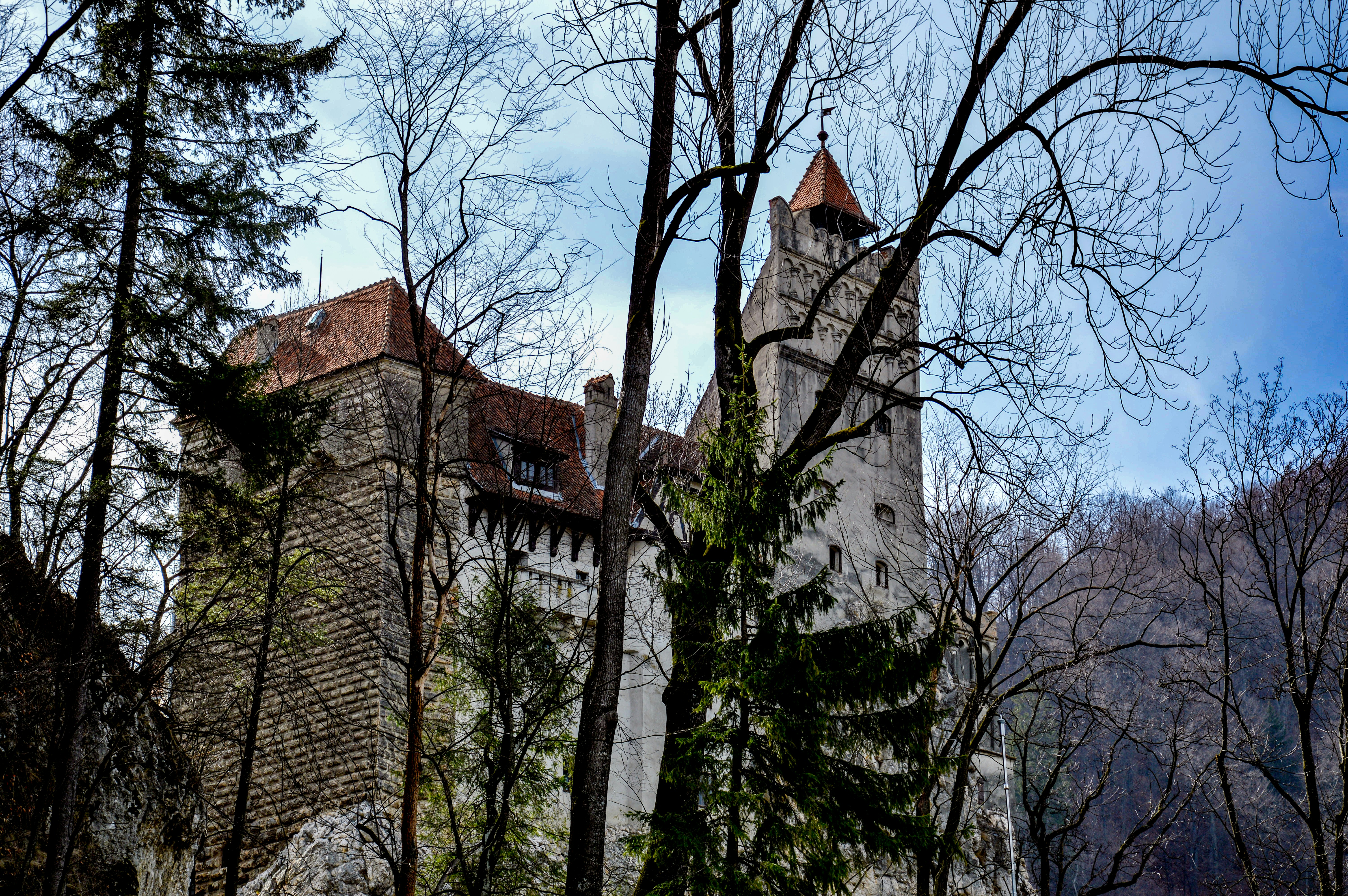 Bran Castle's towers rise behind bare trees under a clear sky.
