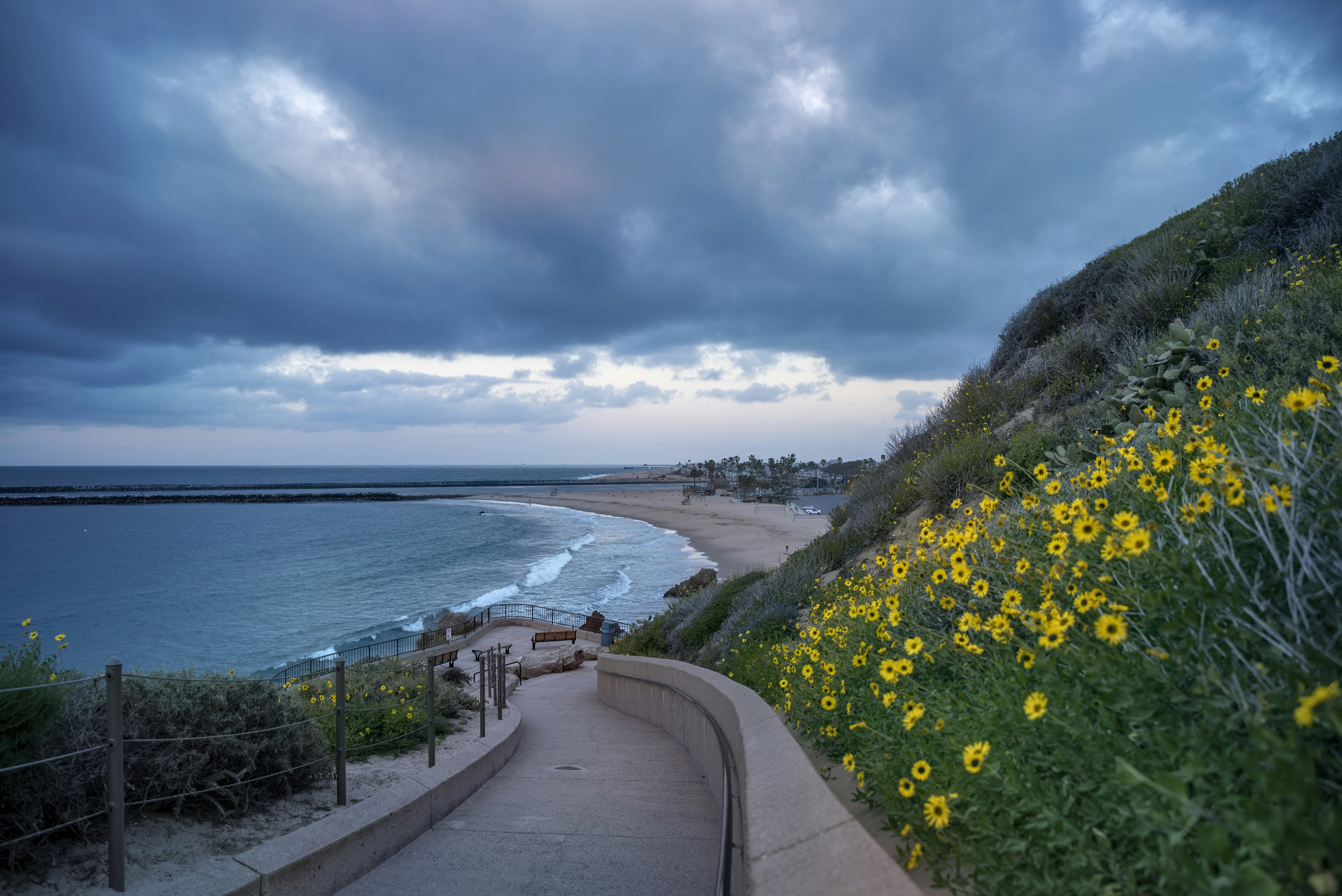 Winding Coastal Path Through a Daisy-Dusted Slope Under Tempest Skies