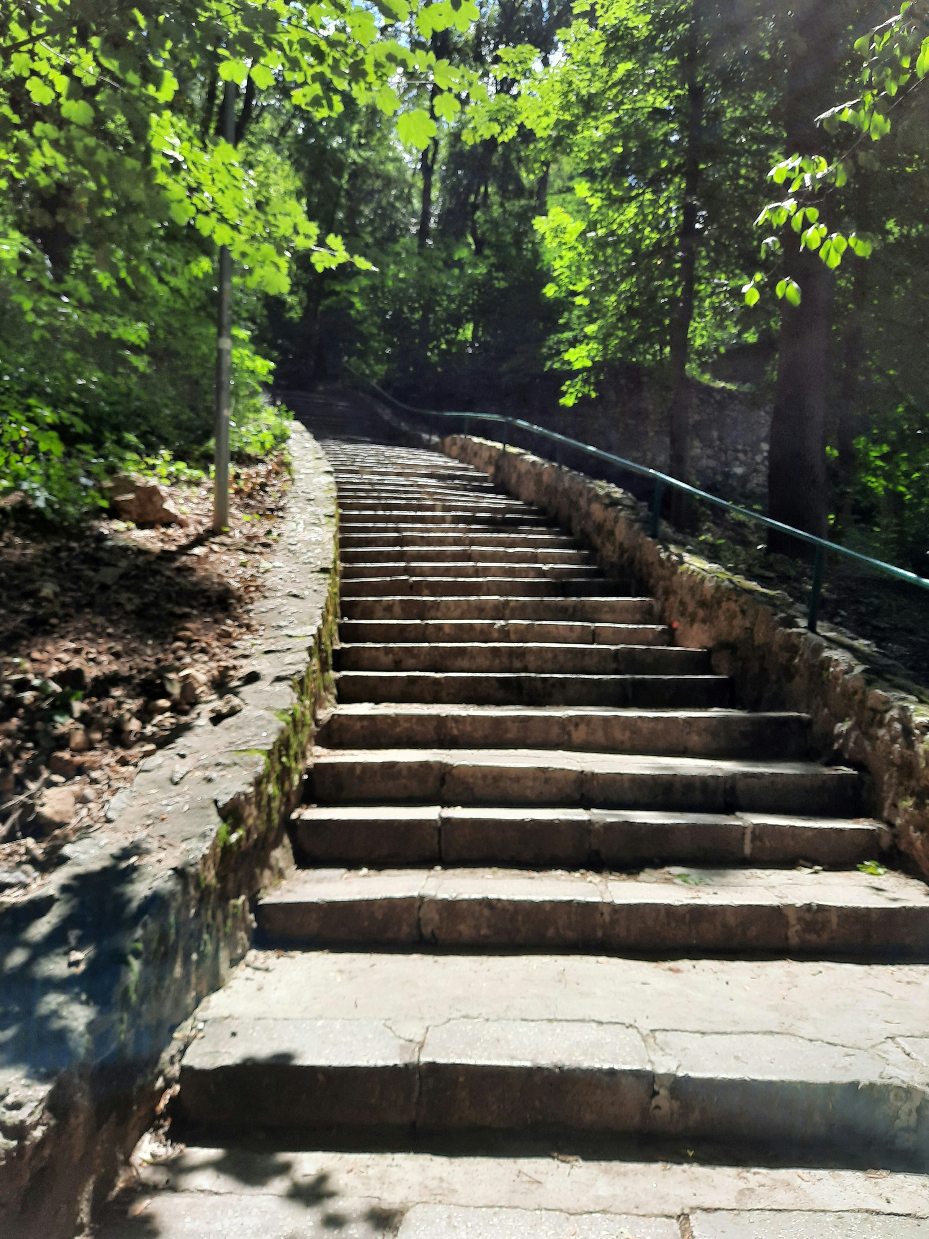 A set of stone steps leading up to a forest photo – Free Staircase ...