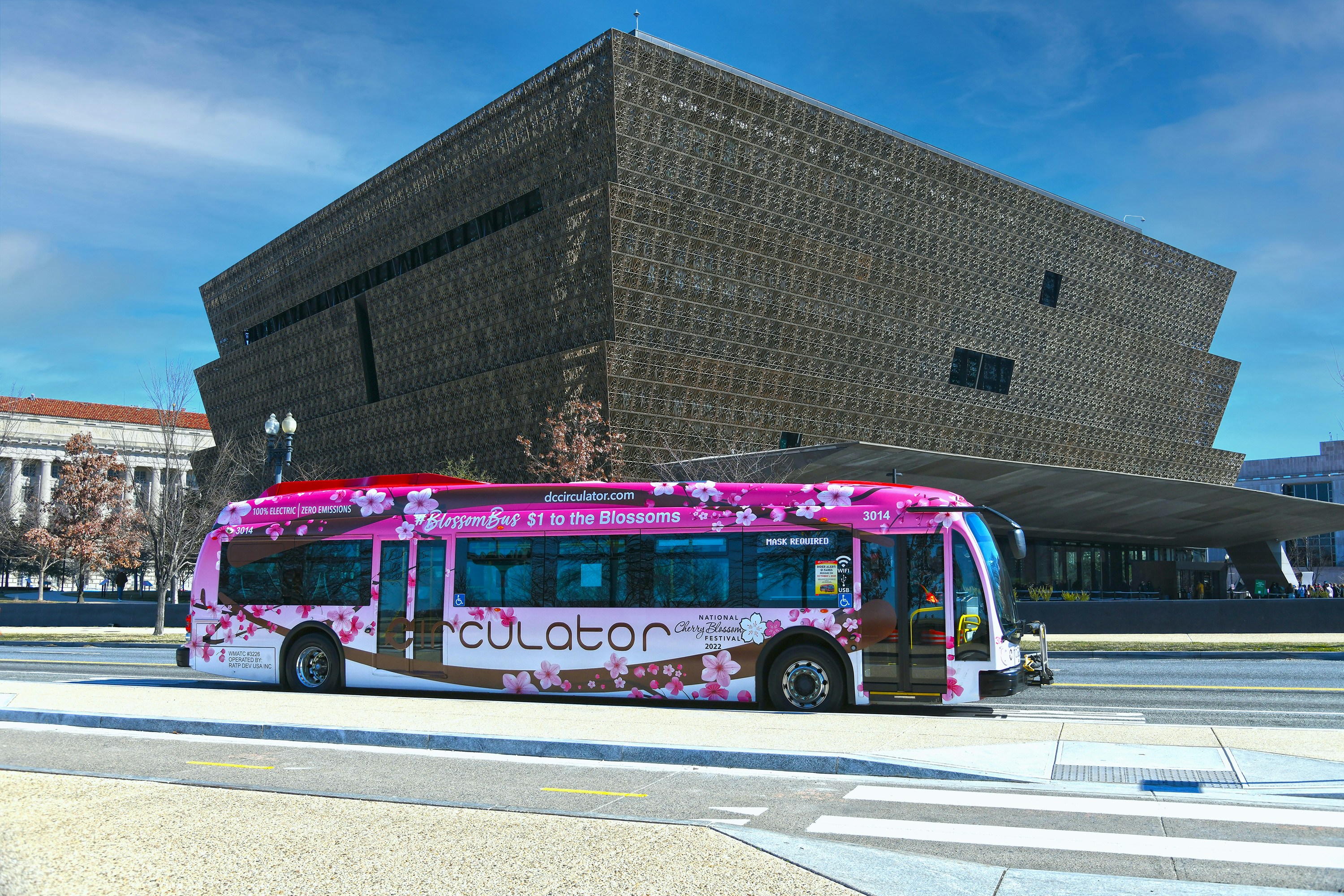 Un bus rose et blanc garé devant un immeuble photo – Image gratuite de ...