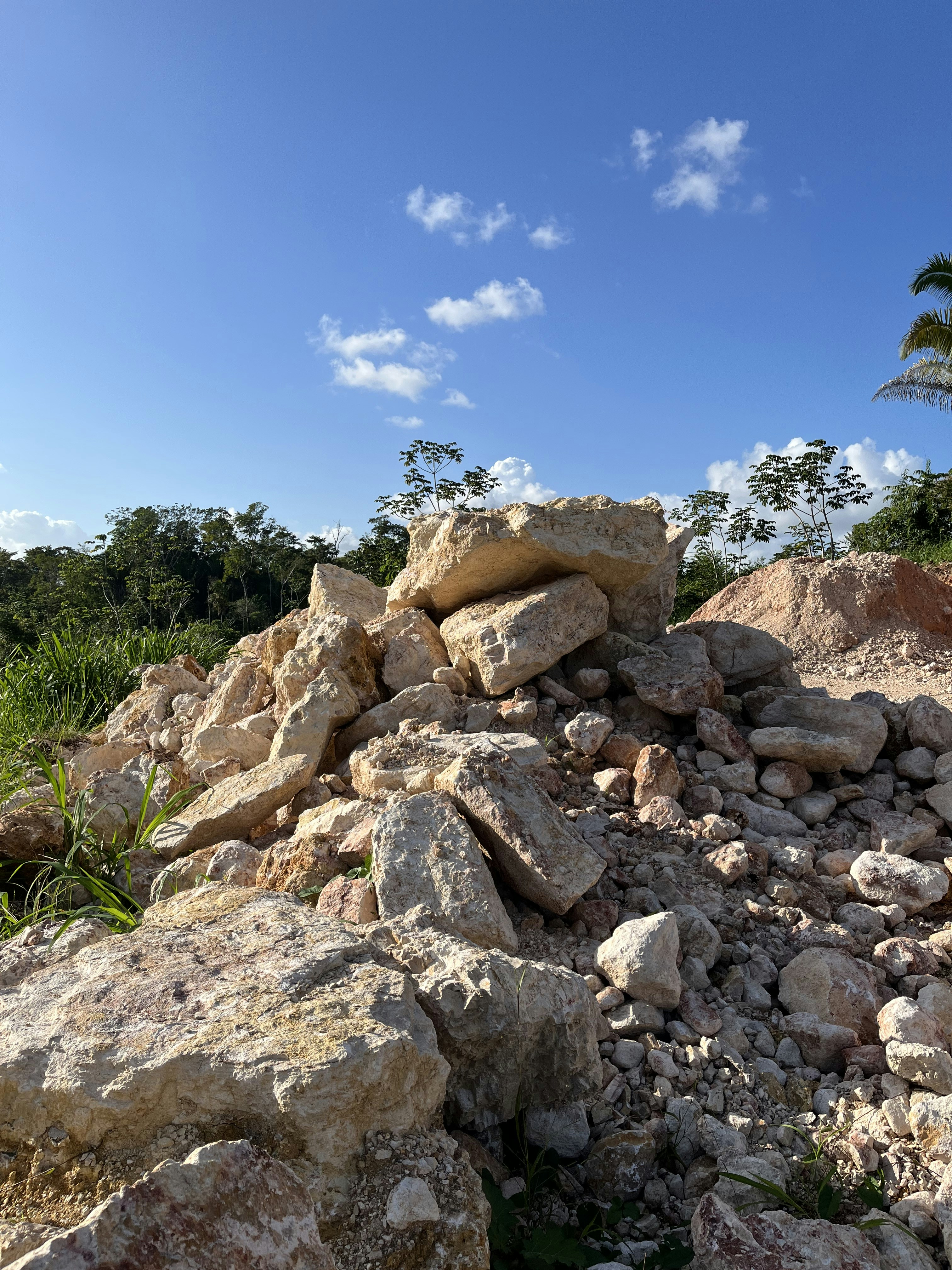 Scattered rocks