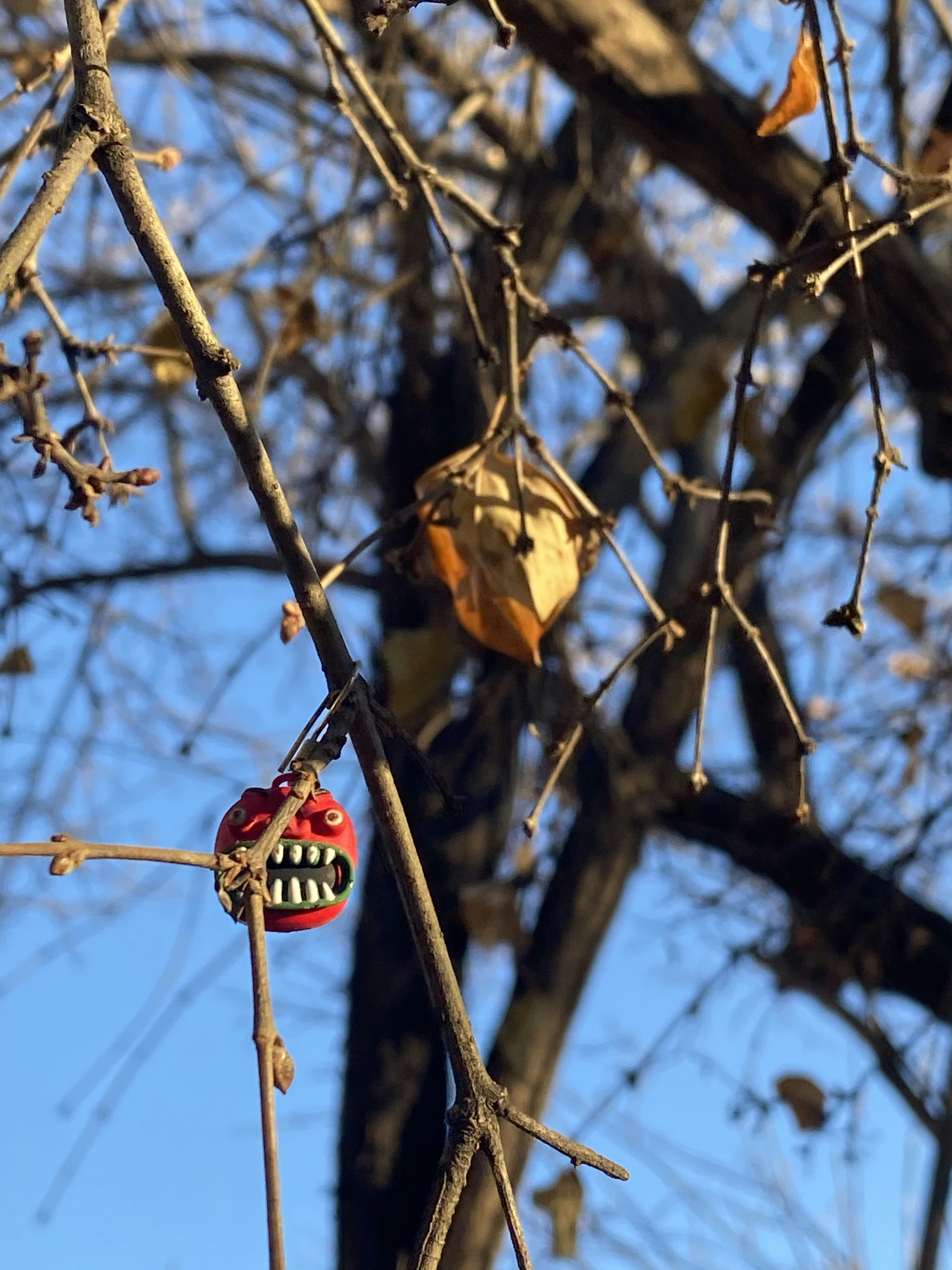 Una rama de árbol con un insecto rojo y negro foto – Imagen de Planta ...