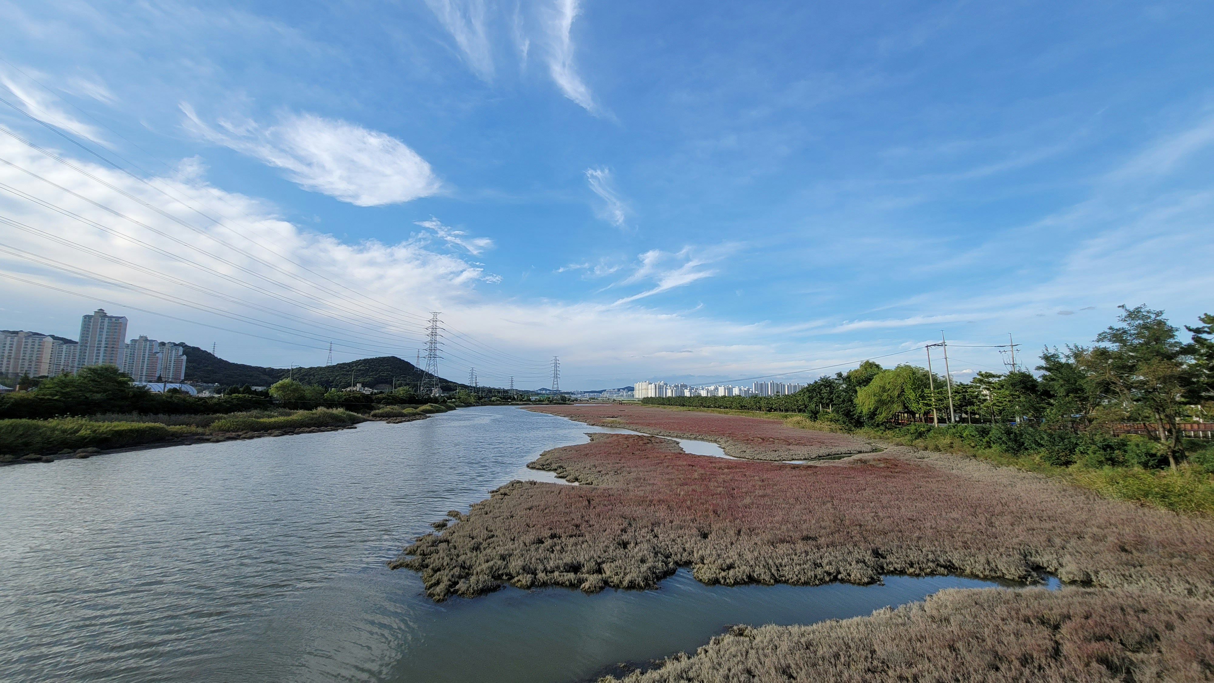 Photo by Peter Kang with Samsung Galaxy Note20 Ultra