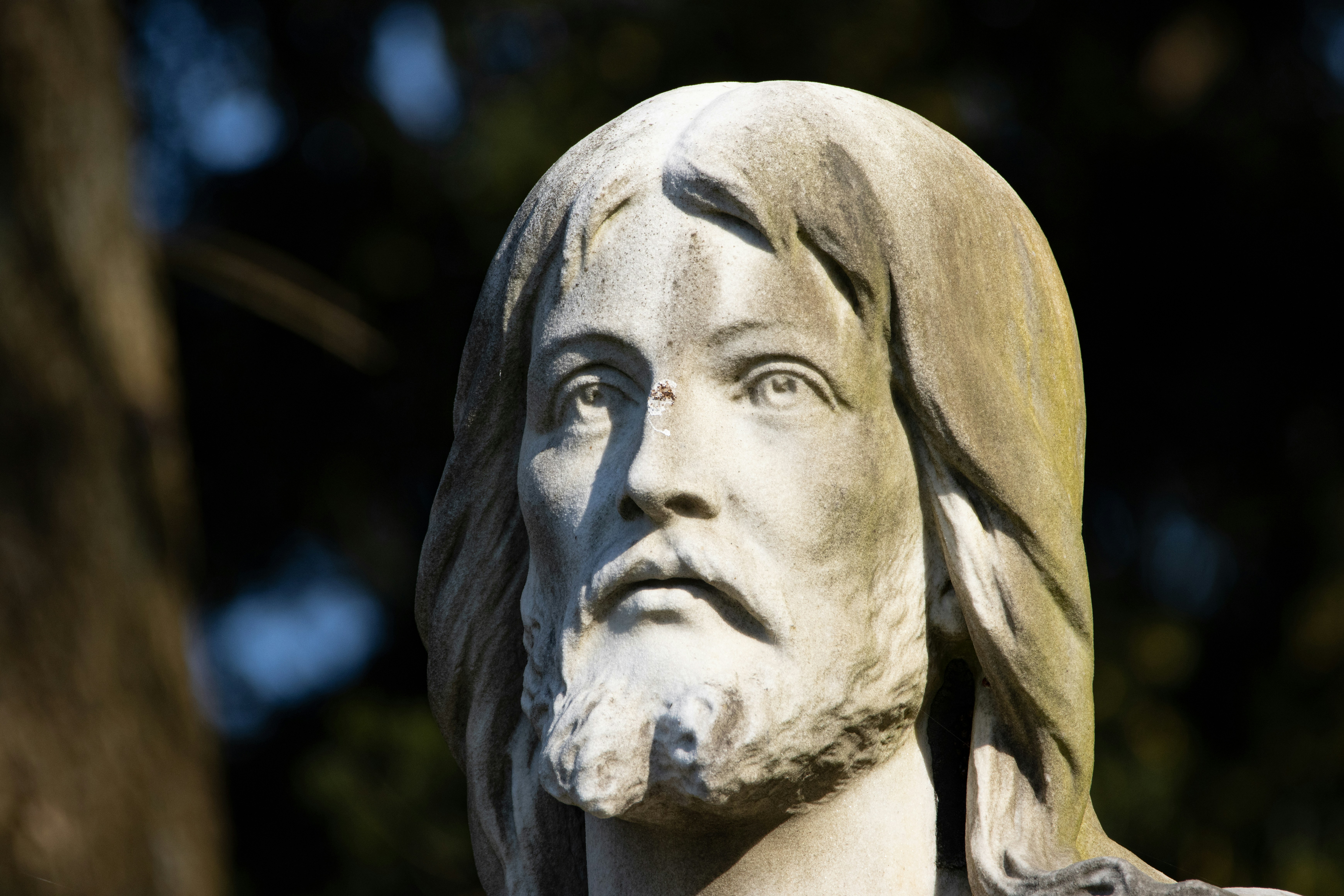 A close up of a statue of a man with a beard photo – Free Head Image on ...