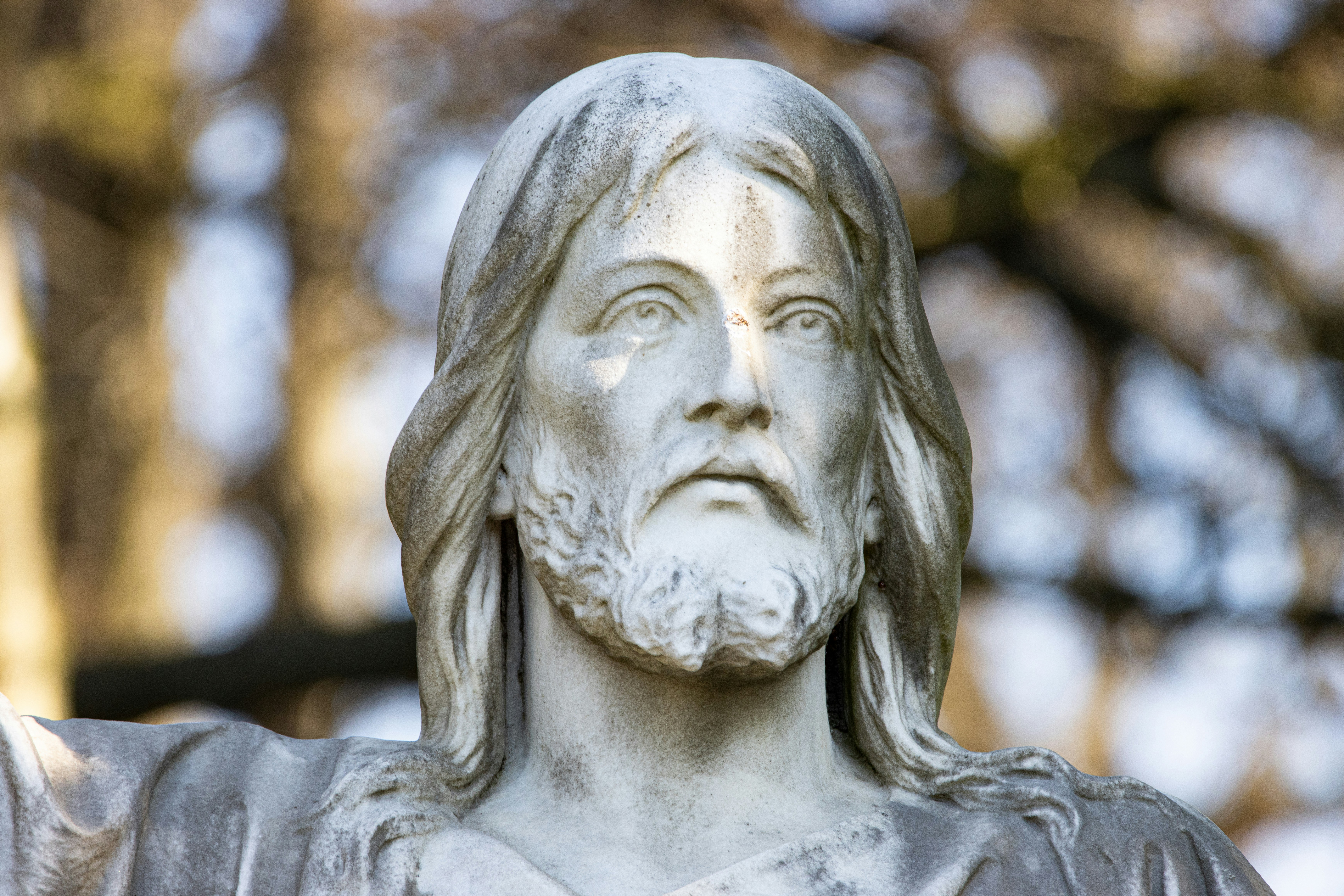 A close up of a statue of jesus with trees in the background photo ...