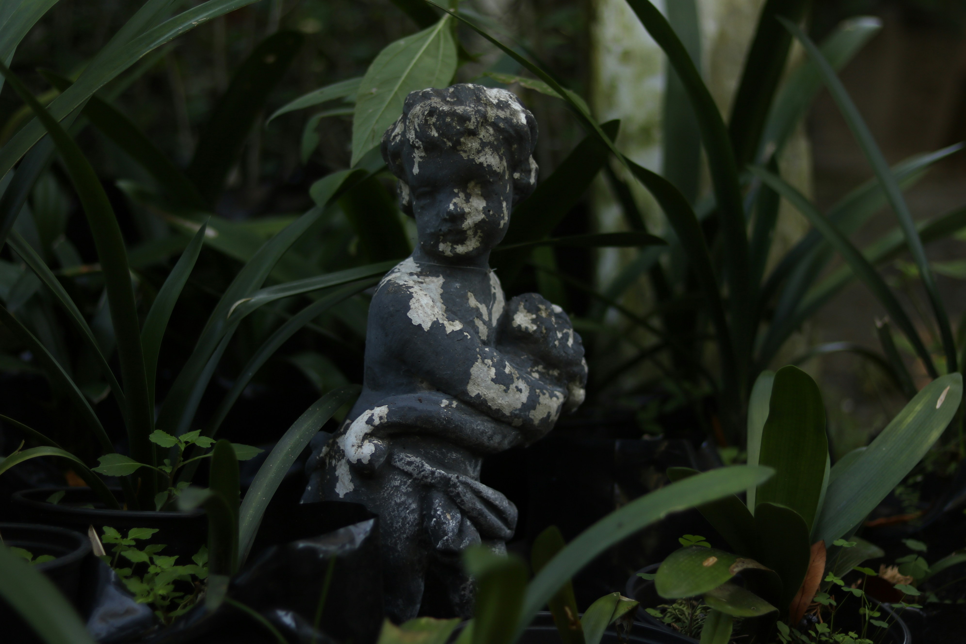 A weathered statue of a child cradling a small figure, partially obscured by lush greenery, evokes a sense of nostalgia and mystery.
