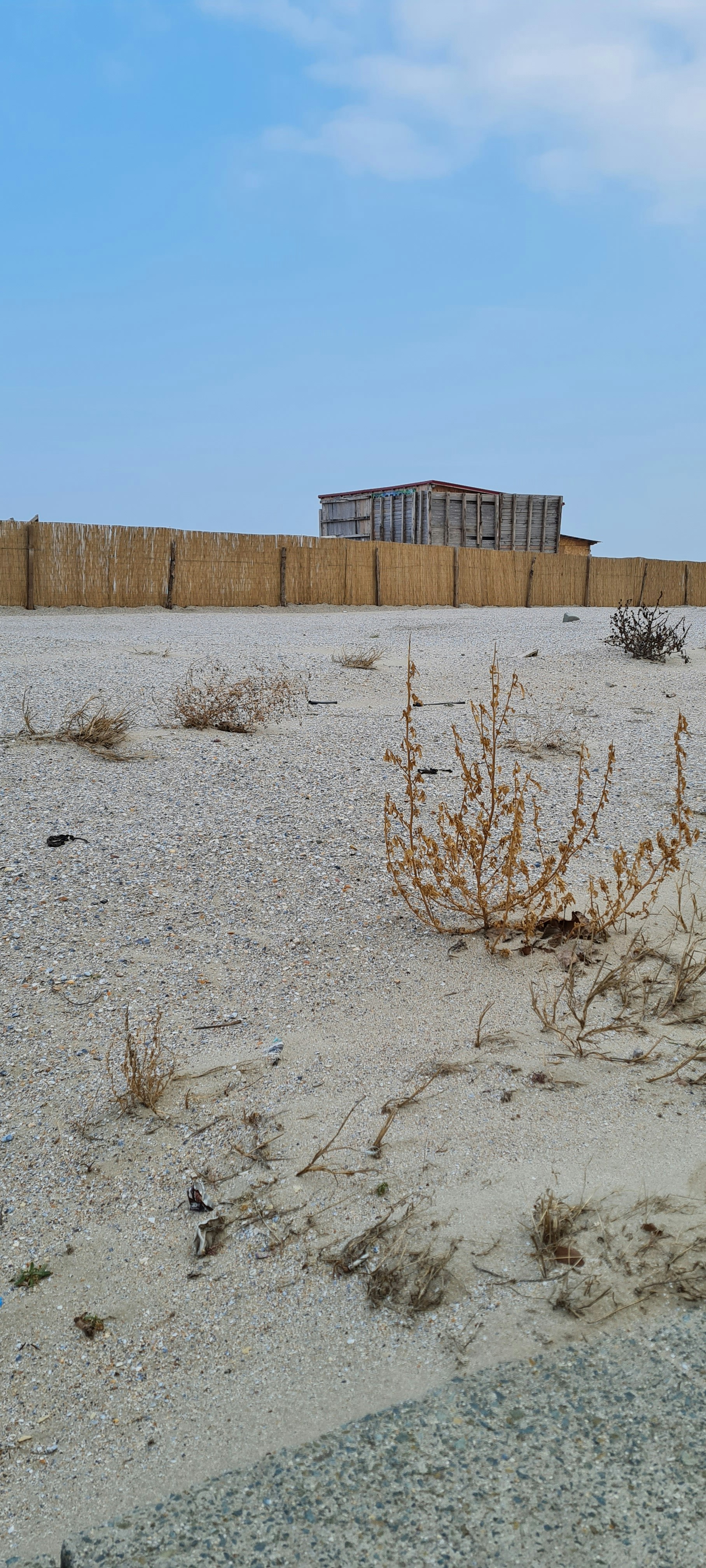 Abandoned wooden structure surrounded by sparse vegetation on a sandy terrain under a clear blue sky.