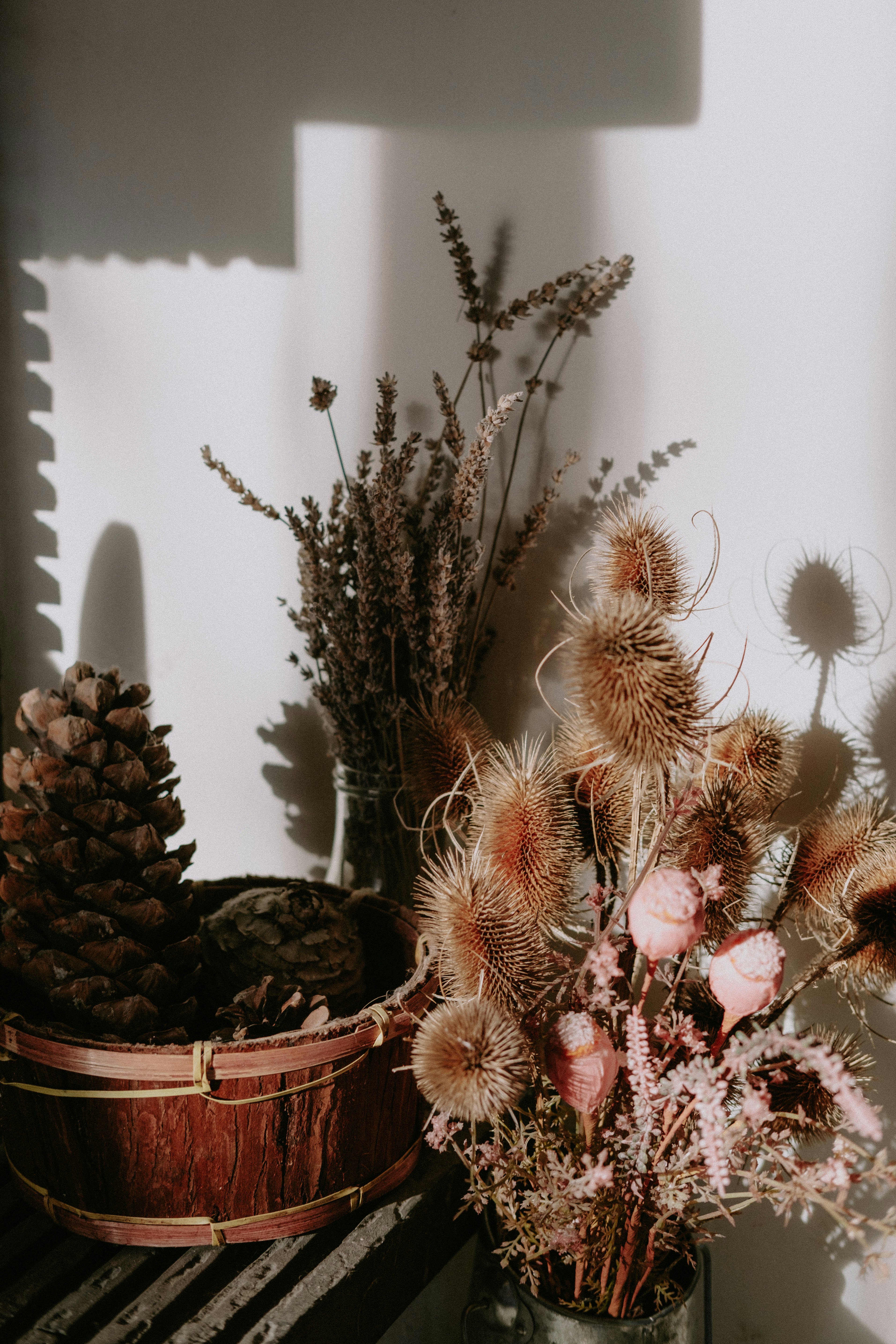 Still Life | 1 best free photos on Unsplash