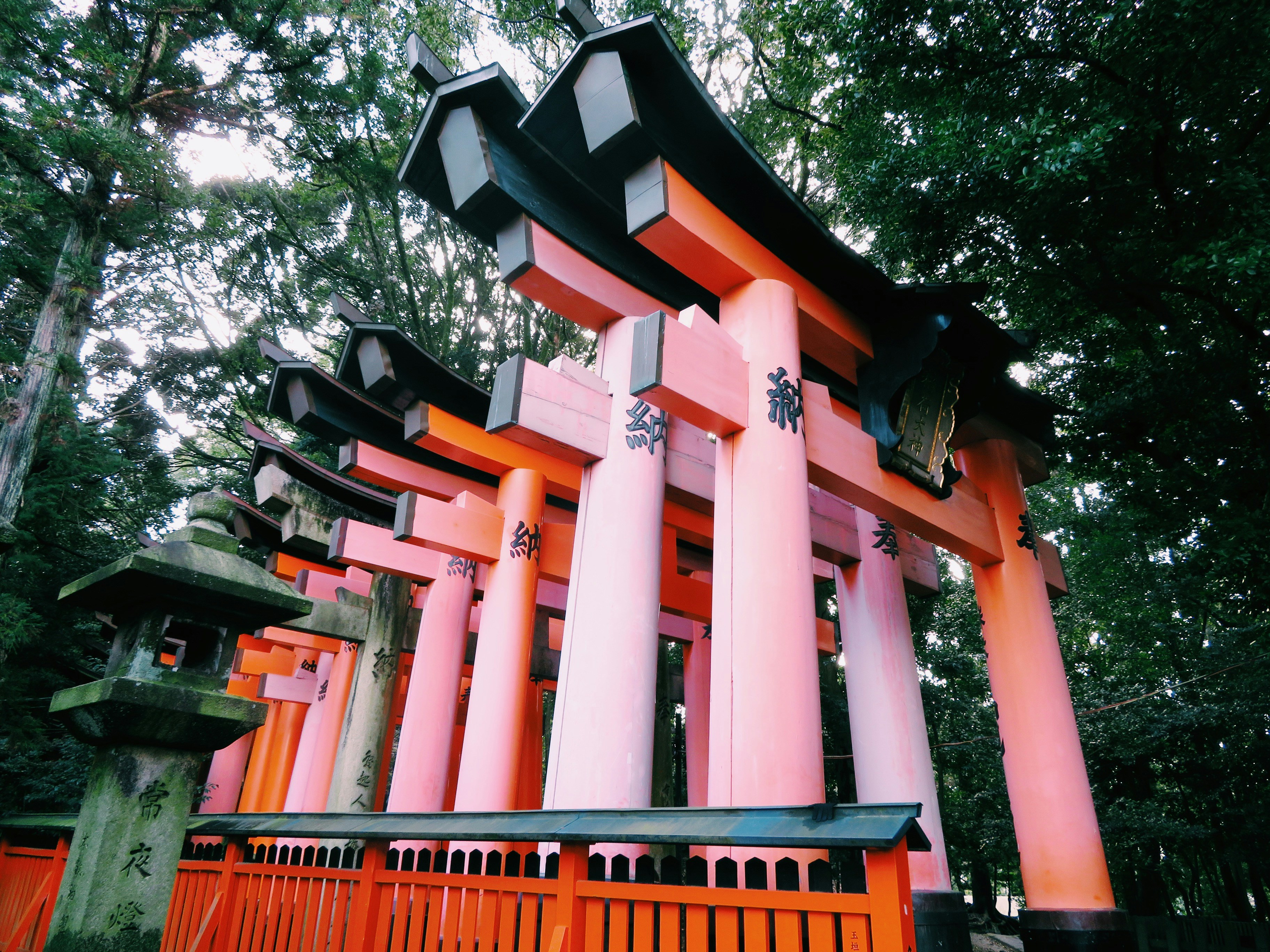 A series of vibrant torii gates framed by lush greenery, symbolizing a sacred pathway in Japanese culture.